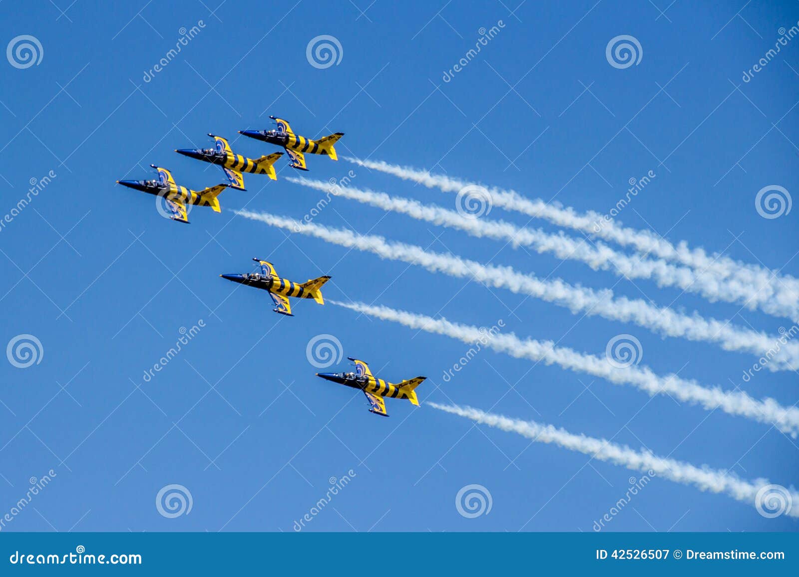 Baltic Bee Airplane editorial photography. Image of everybody - 42526507