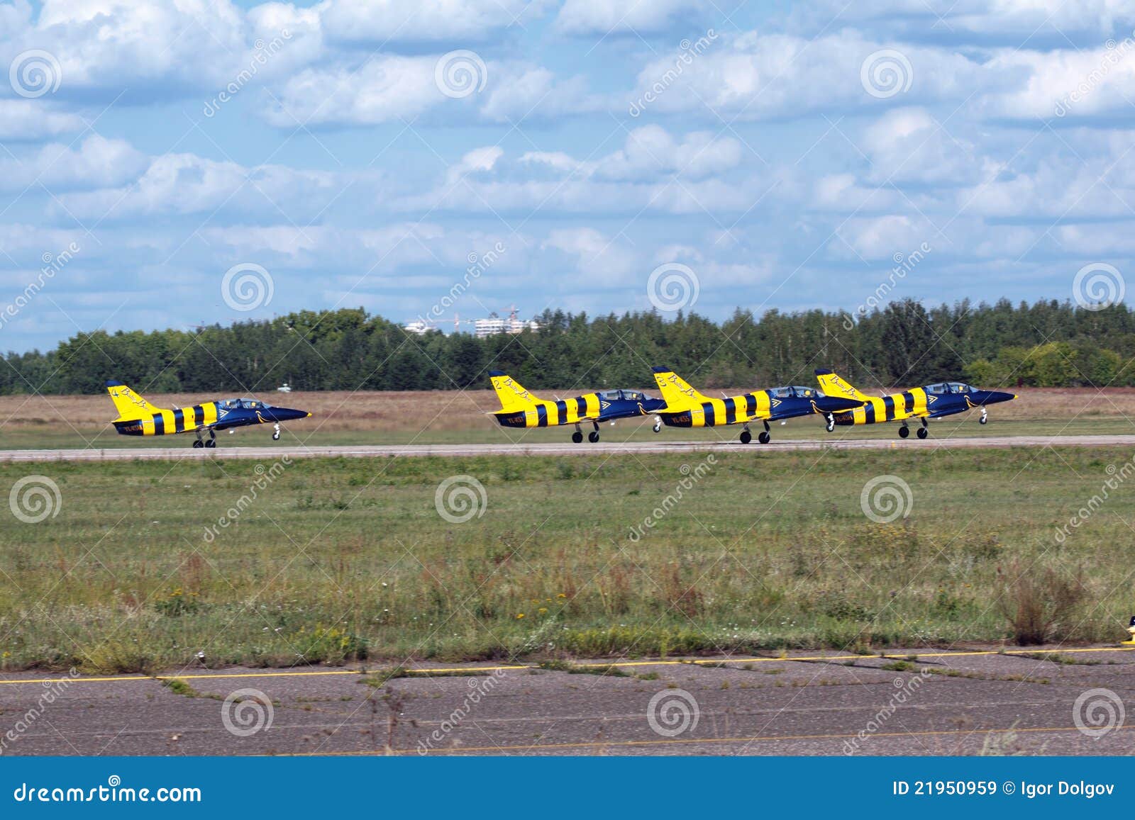 Baltic Bees editorial stock image. Image of maks, international - 21950959