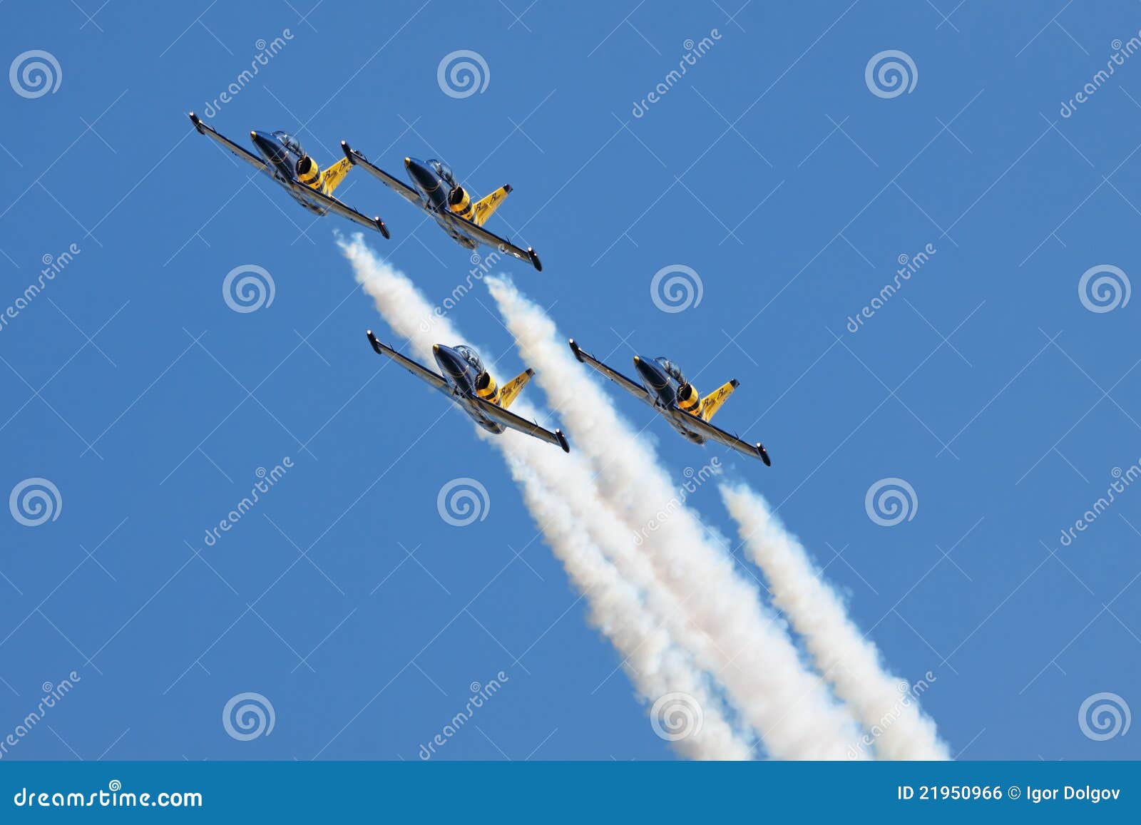 Baltic Bees editorial photo. Image of russia, group, team - 21950966