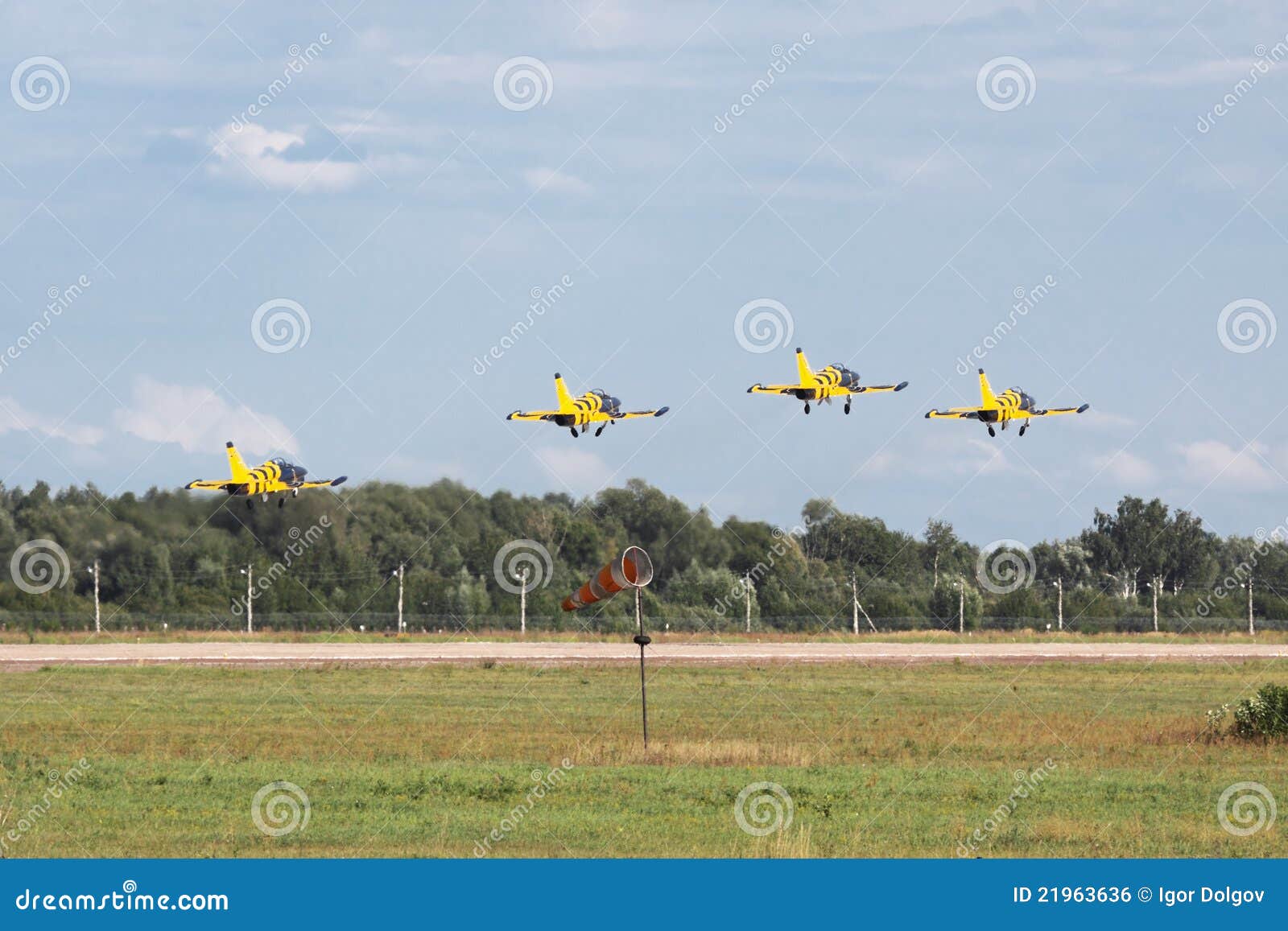 Baltic Bees editorial photo. Image of outdoors, group - 21963636