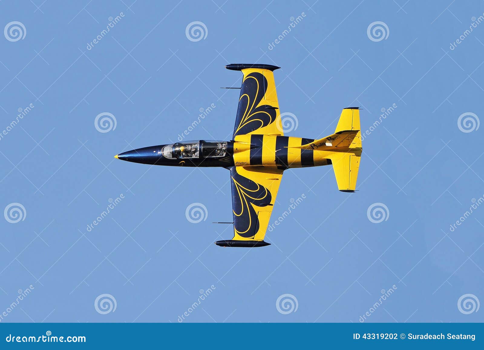 Baltic bees flying team editorial photography. Image of baltic - 43319202