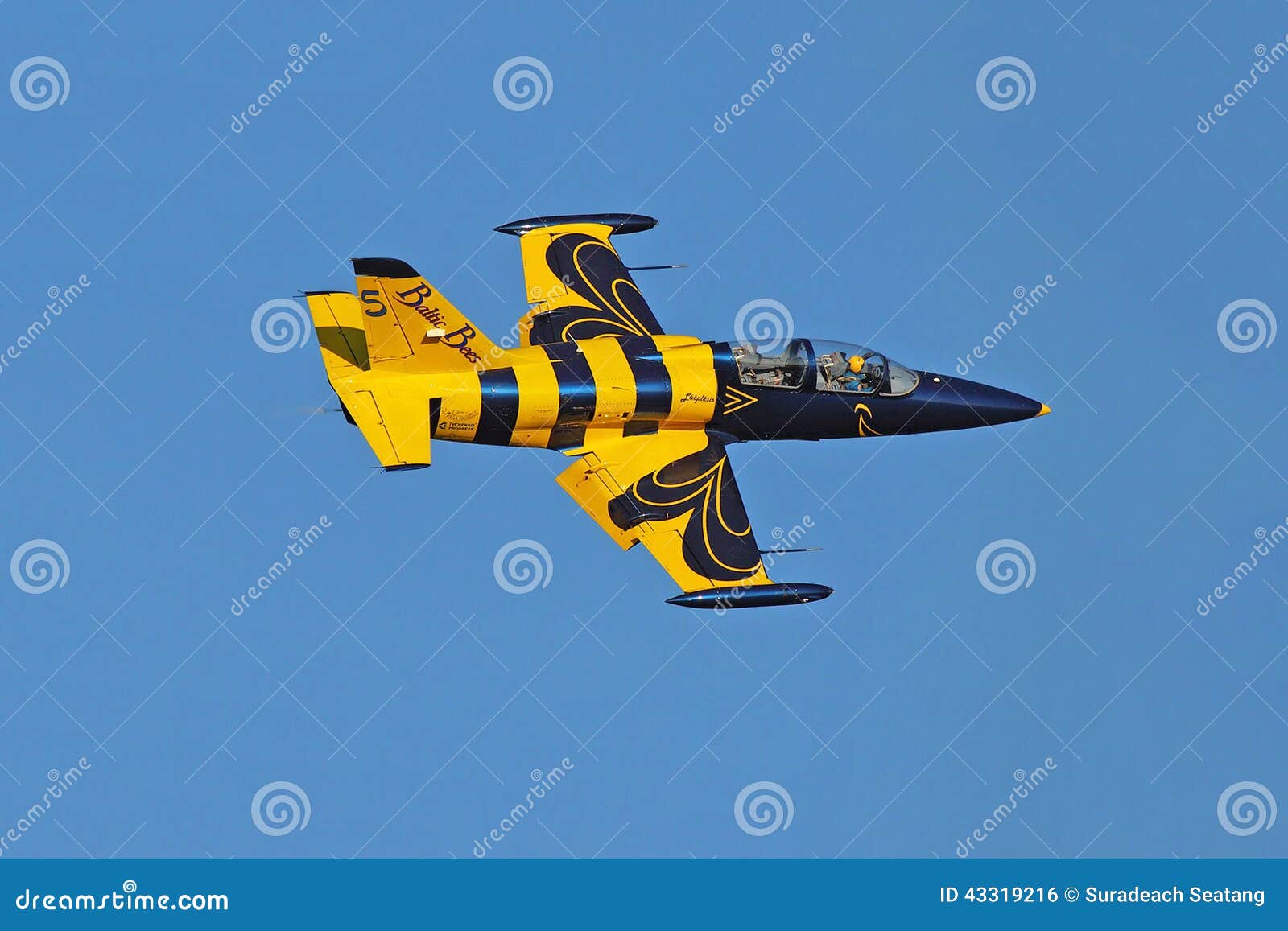 Baltic bees flying team editorial photo. Image of show - 43319216