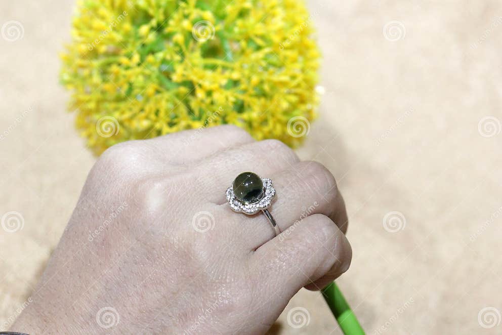 Baltic Blue Amber Phoenix Ring Stock Image - Image of bracelet ...