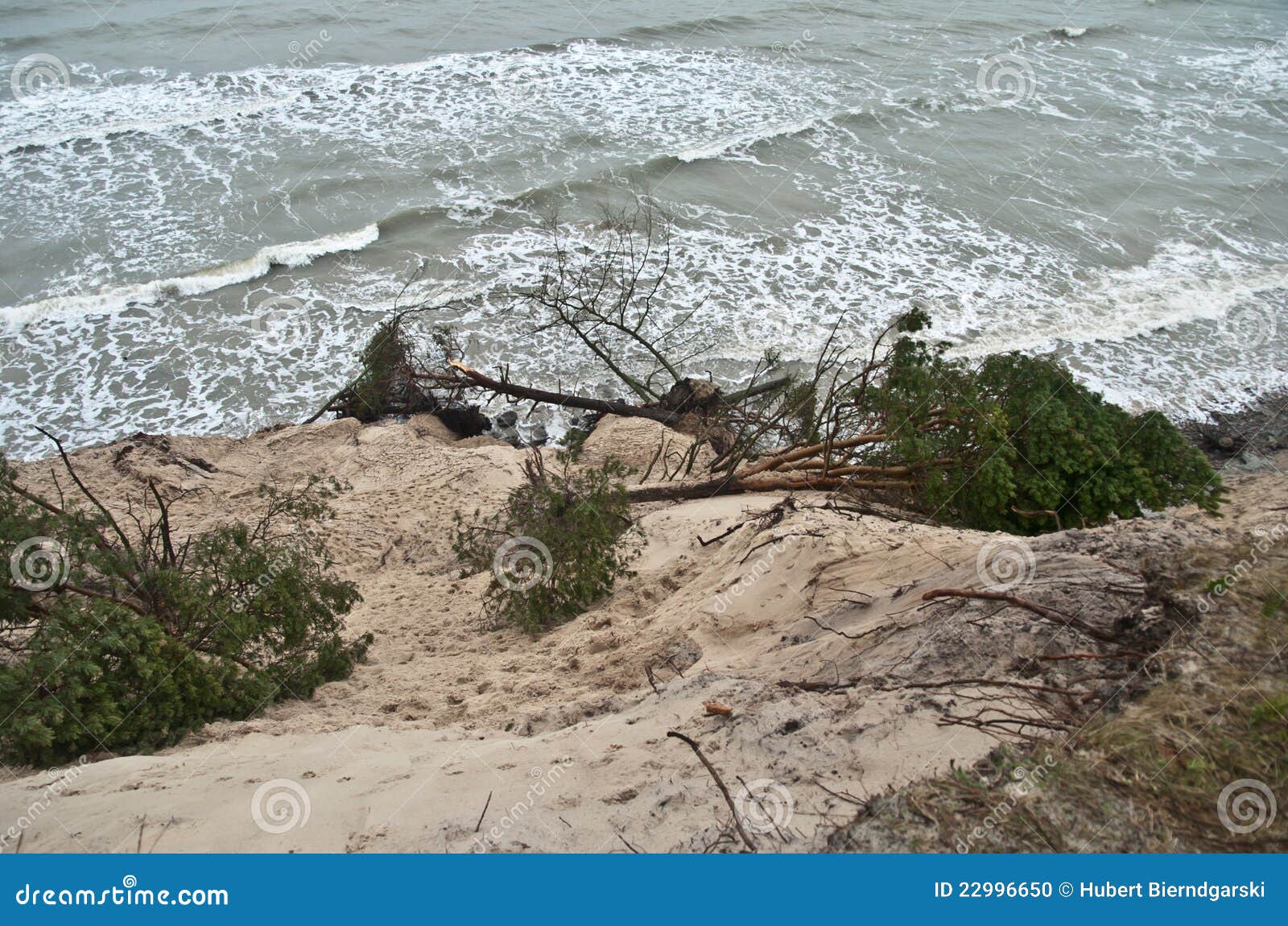 Baltic coast after storm stock photo. Image of light - 22996650