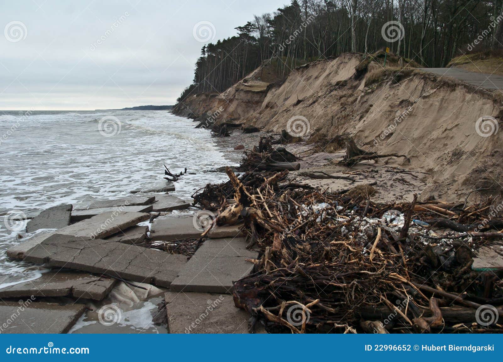 Baltic coast after storm stock photo. Image of light - 22996652