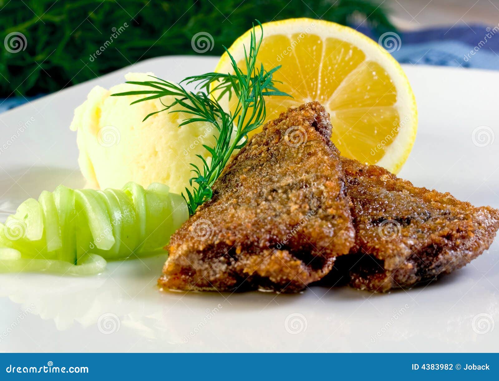 Baltic herring stock photo. Image of herring, food, dill - 4383982