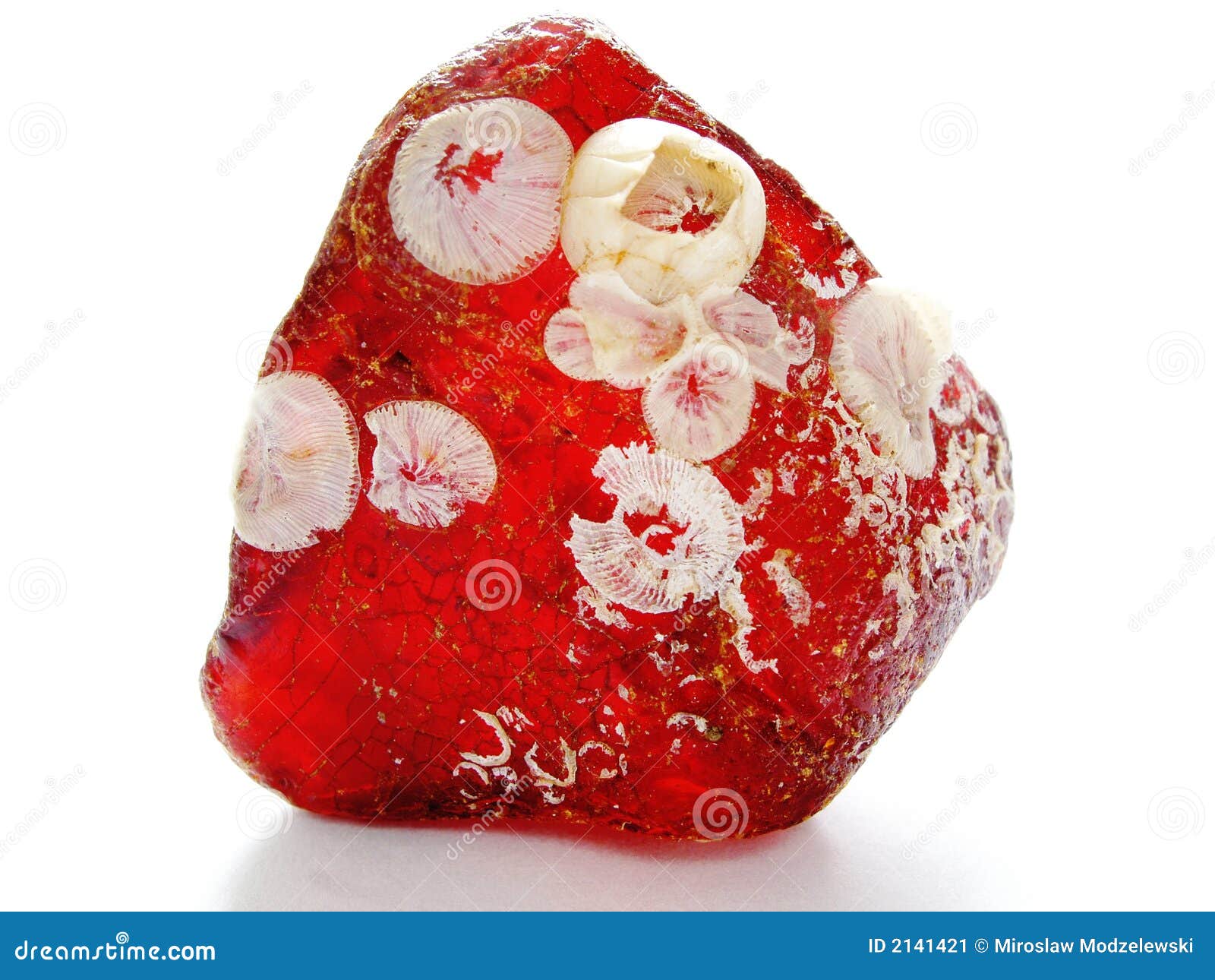 Baltic Sea Amber stock image. Image of jewel, stone, white - 2141421