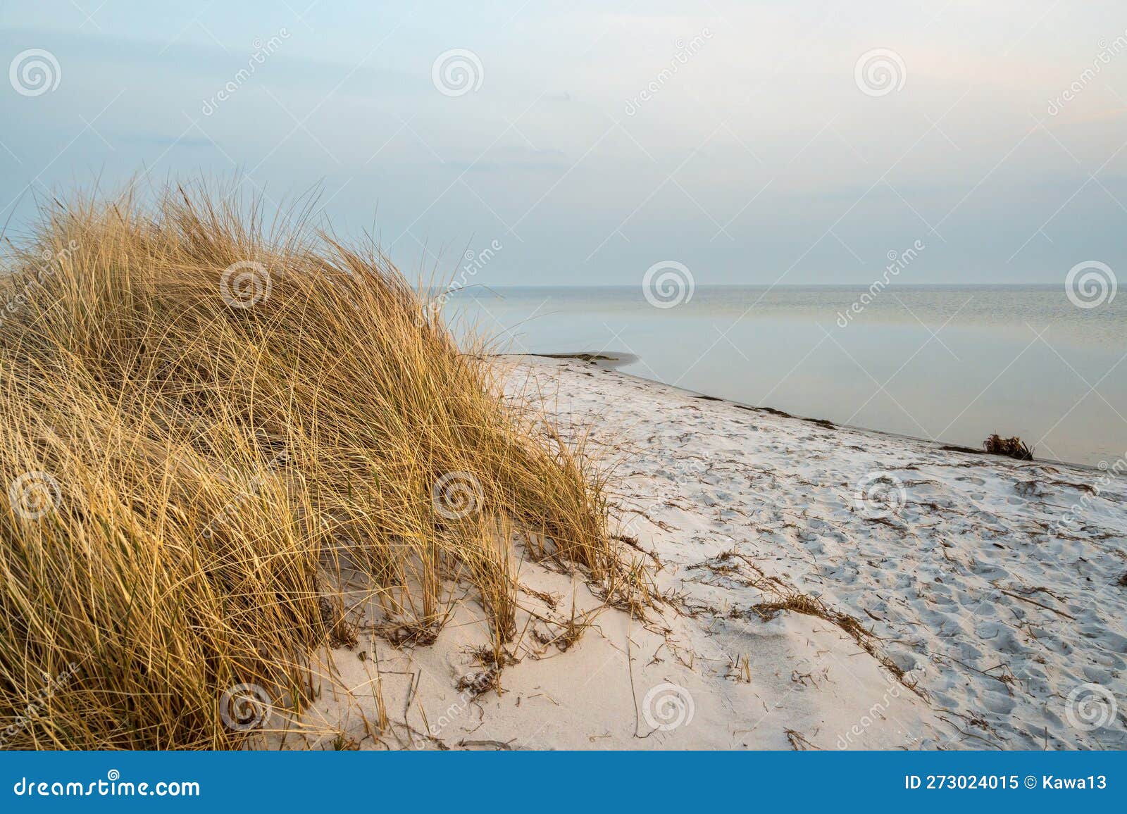 Baltic Sea Beach on the Hel Peninsula Stock Image - Image of dune ...