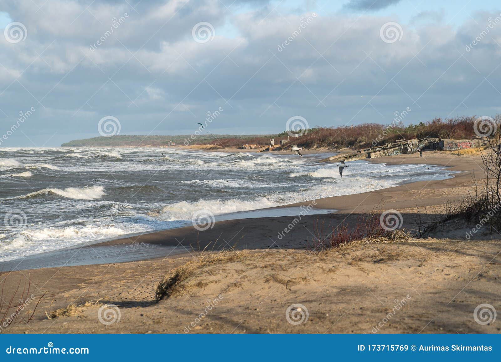 Baltic Sea Beach Windy Day. Stock Image - Image of sandy, windy: 173715769