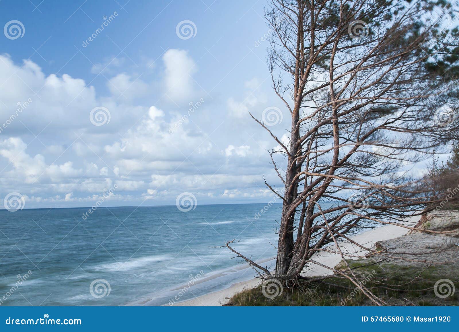 Baltic Sea stock photo. Image of baltic, nature, panorama - 67465680