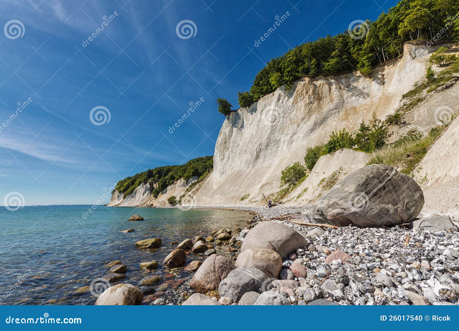 Baltic Sea coast stock photo. Image of park, vacation - 26017540