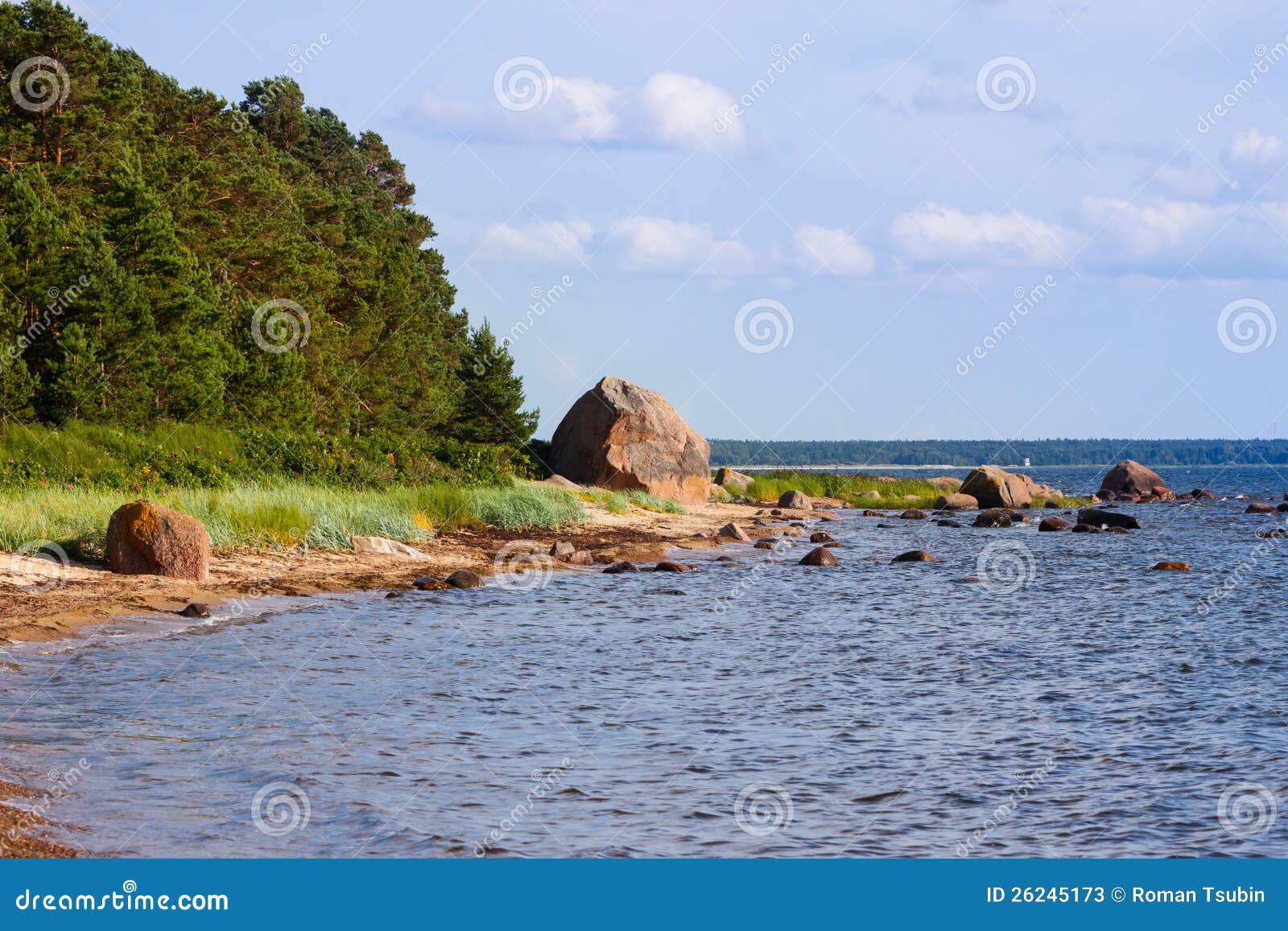 The Baltic Sea coast stock image. Image of park, travel - 26245173