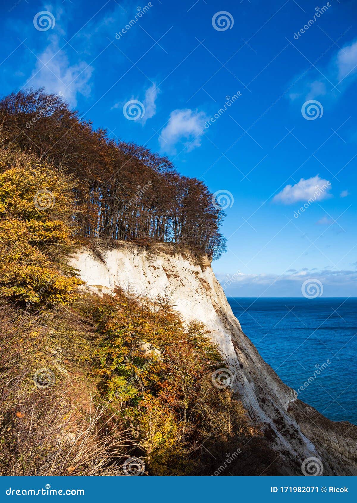 Baltic Sea Coast on the Island Moen in Denmark Stock Image - Image of ...