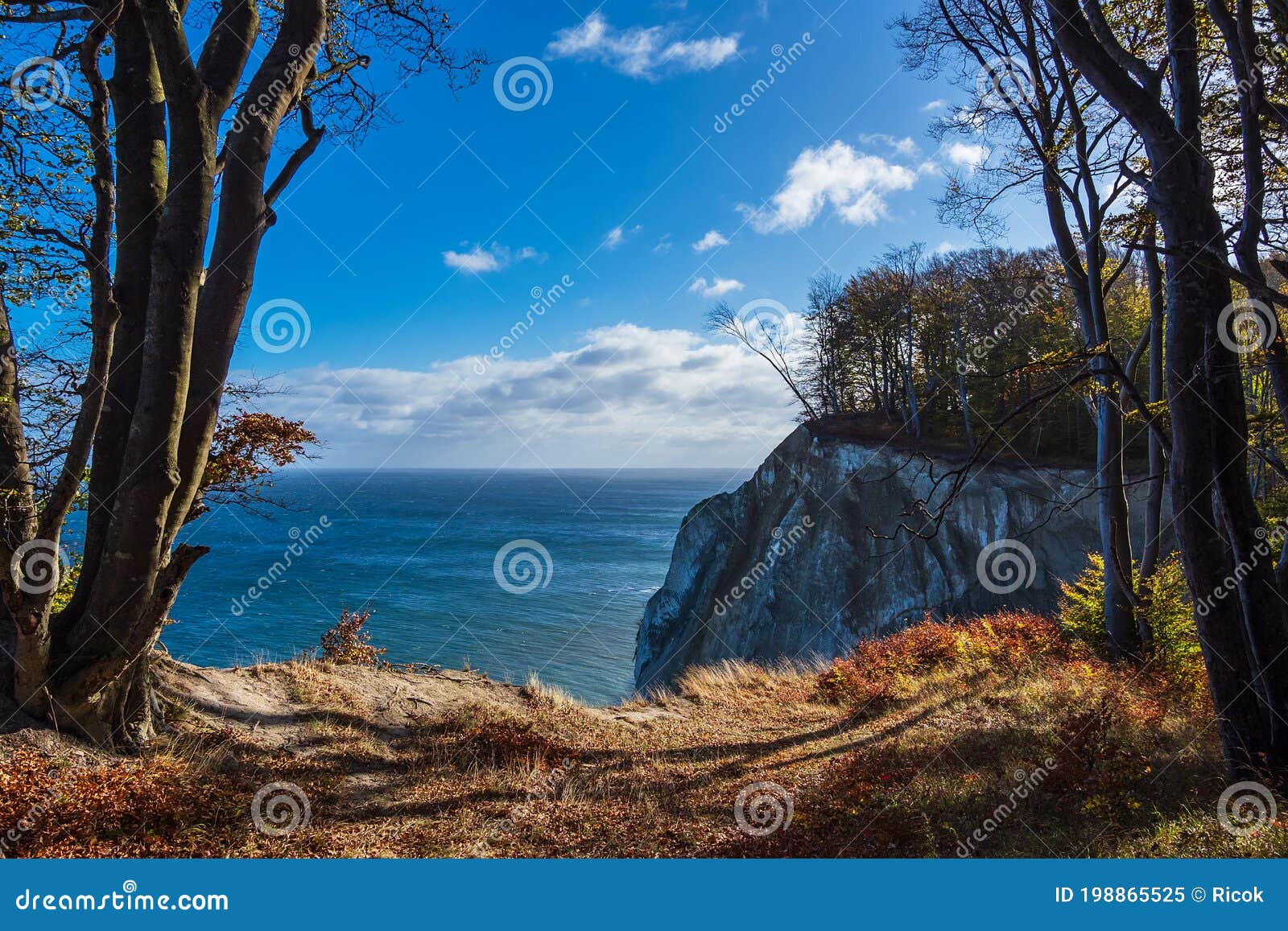 Baltic Sea Coast on the Island Moen in Denmark Stock Image - Image of ...