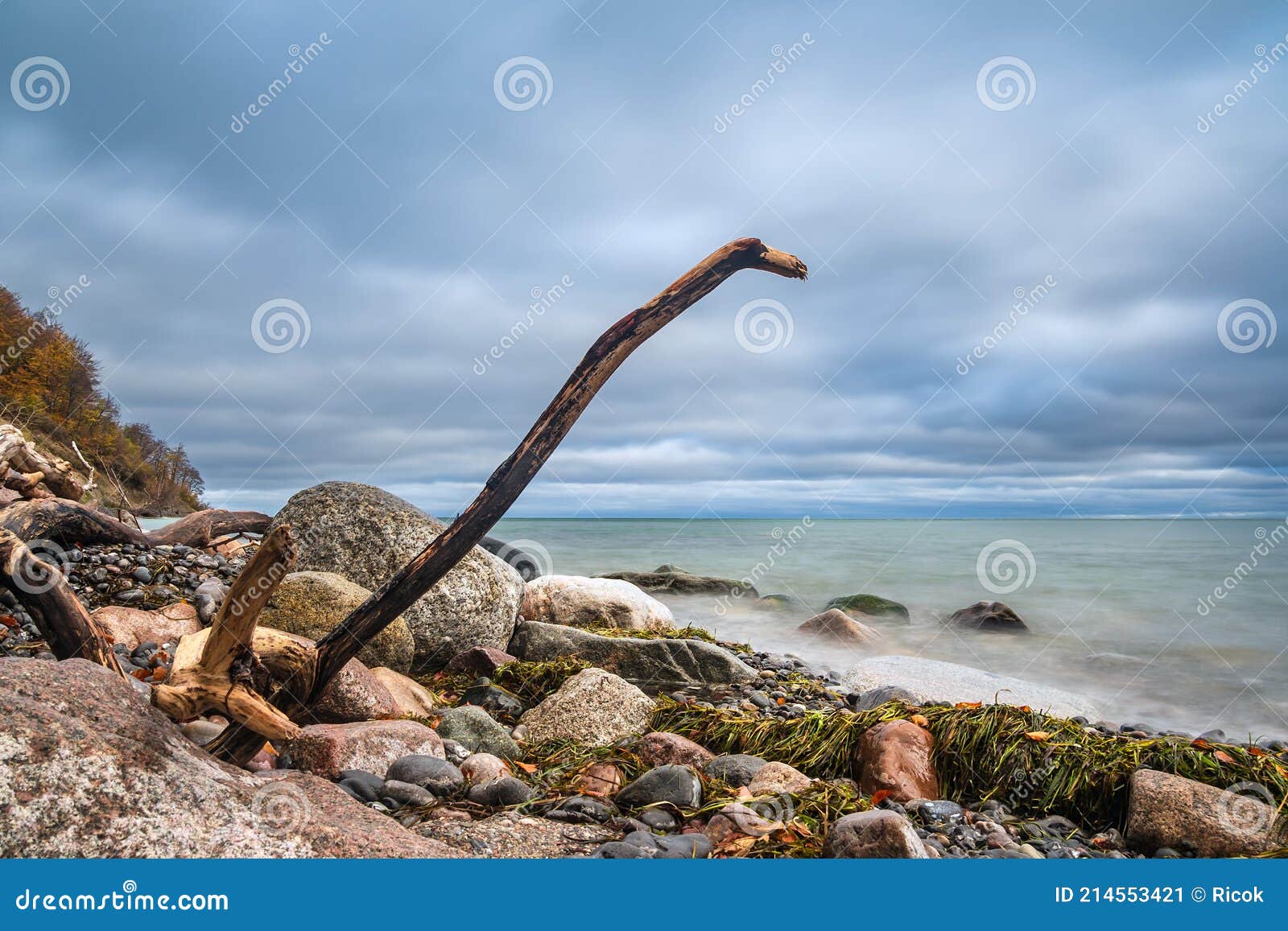 Baltic Sea Coast on the Island Moen in Denmark Stock Image - Image of ...