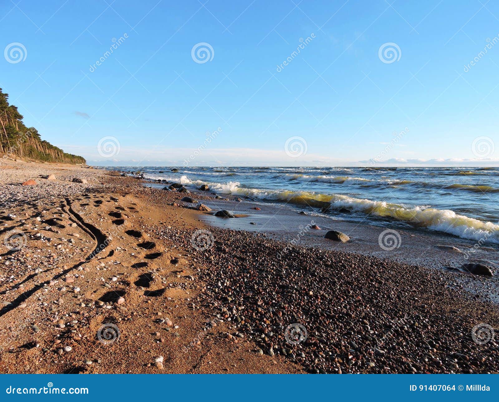 Baltic Sea Coast , Lithuania Stock Photo - Image of europe, beautiful ...