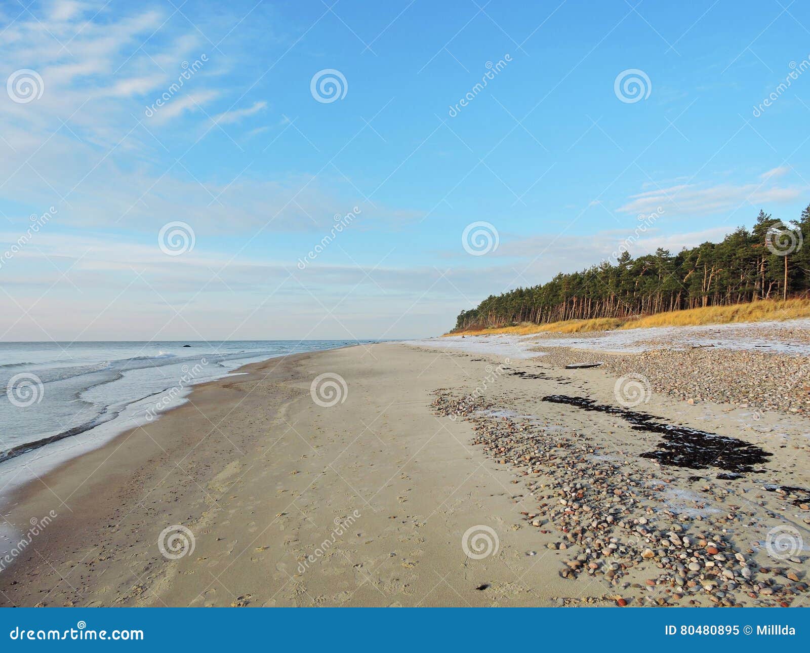 Baltic Sea Coast, Lithuania Stock Image - Image of yellow, stones: 80480895