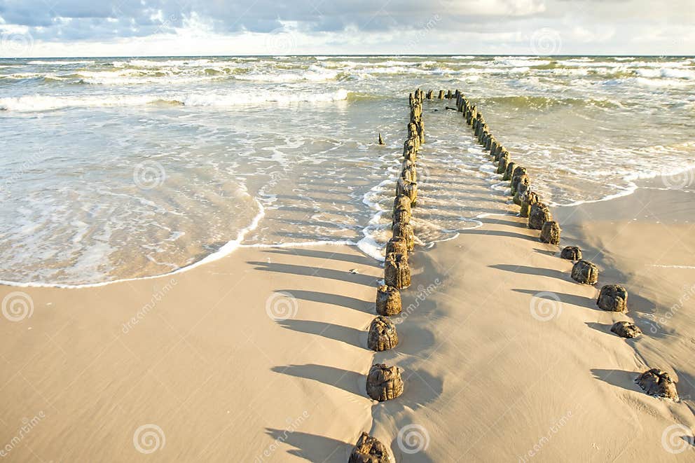 Baltic Sea with groynes stock image. Image of spur, turf - 60634599