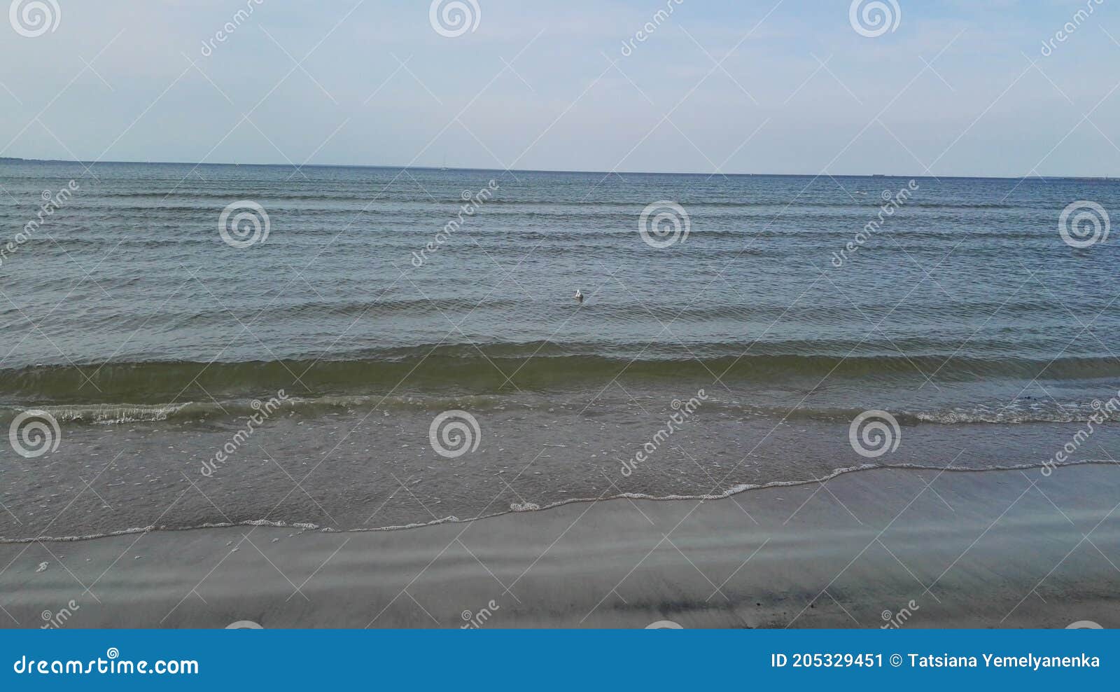 Pirita beach, Tallinn stock image. Image of water, cape - 205329451