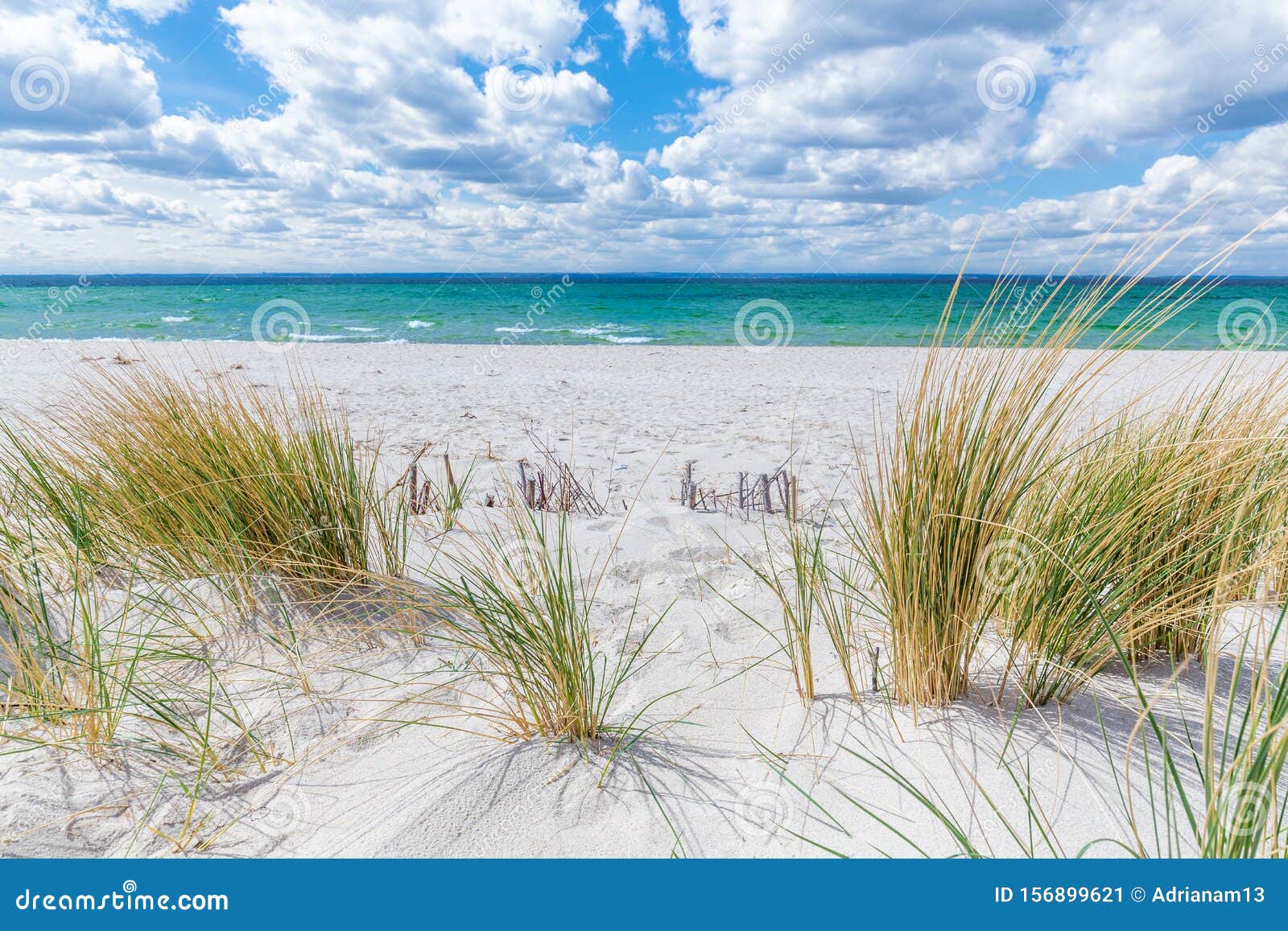Baltic Sea on the Polish Coast Stock Image - Image of terminal, grass ...