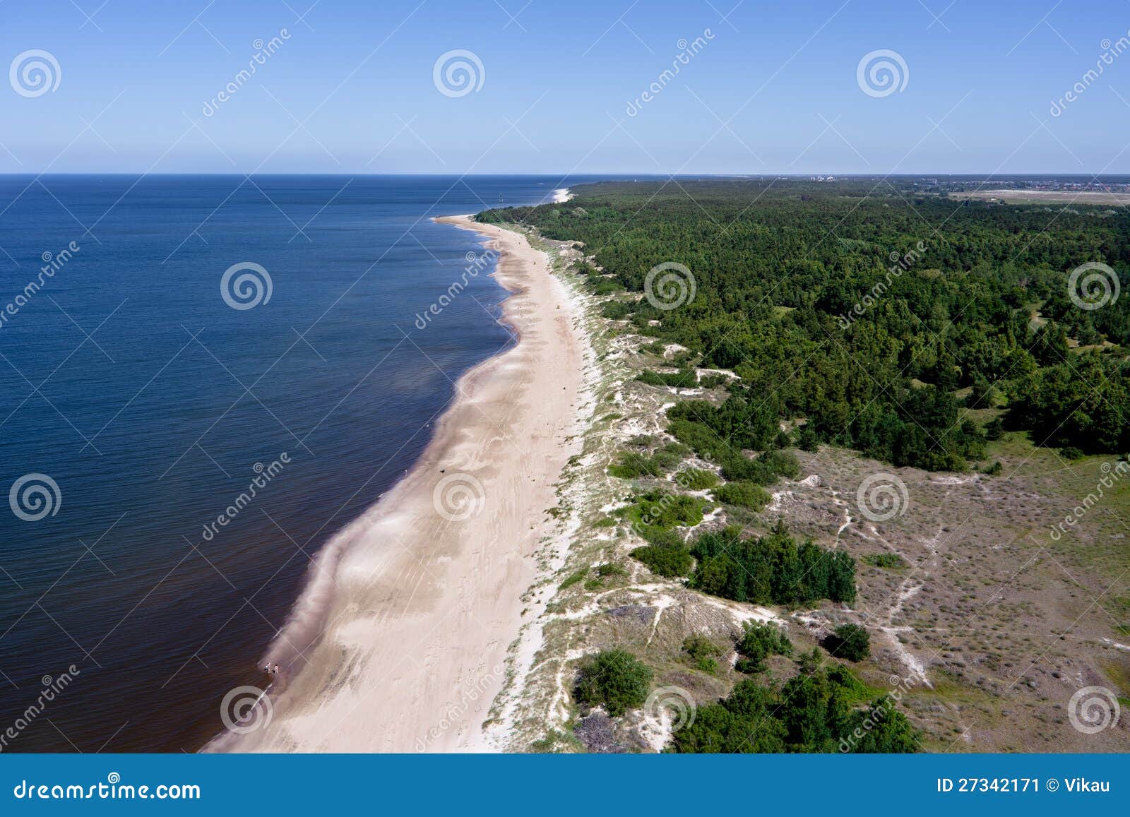 Baltic seaside stock image. Image of dunes, spruce, lithuania - 27342171