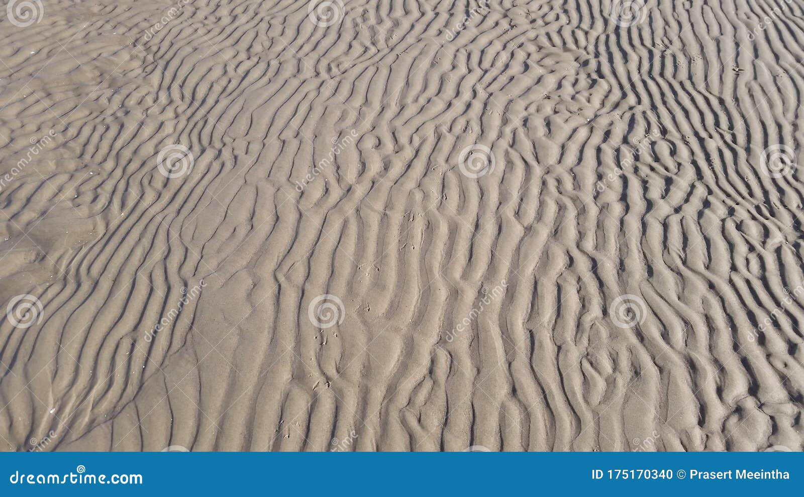 Natural Sand Trace stock photo. Image of brown, close - 175170340