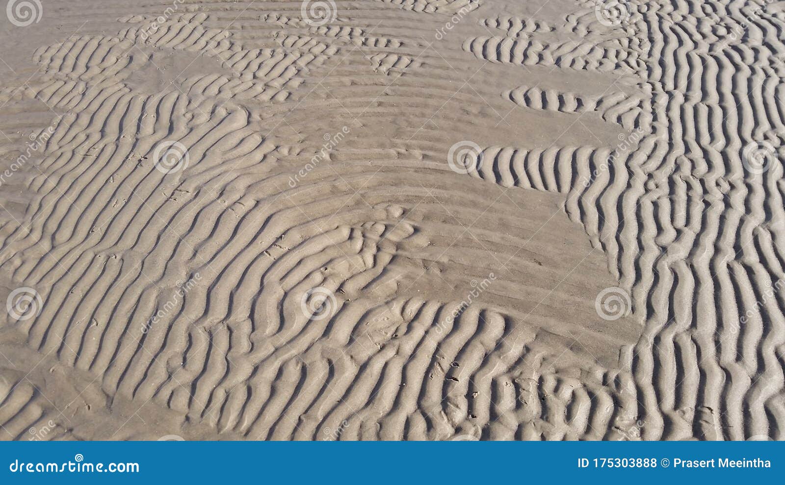 Seaside and Sand Trace stock photo. Image of brown, baltic - 175303888