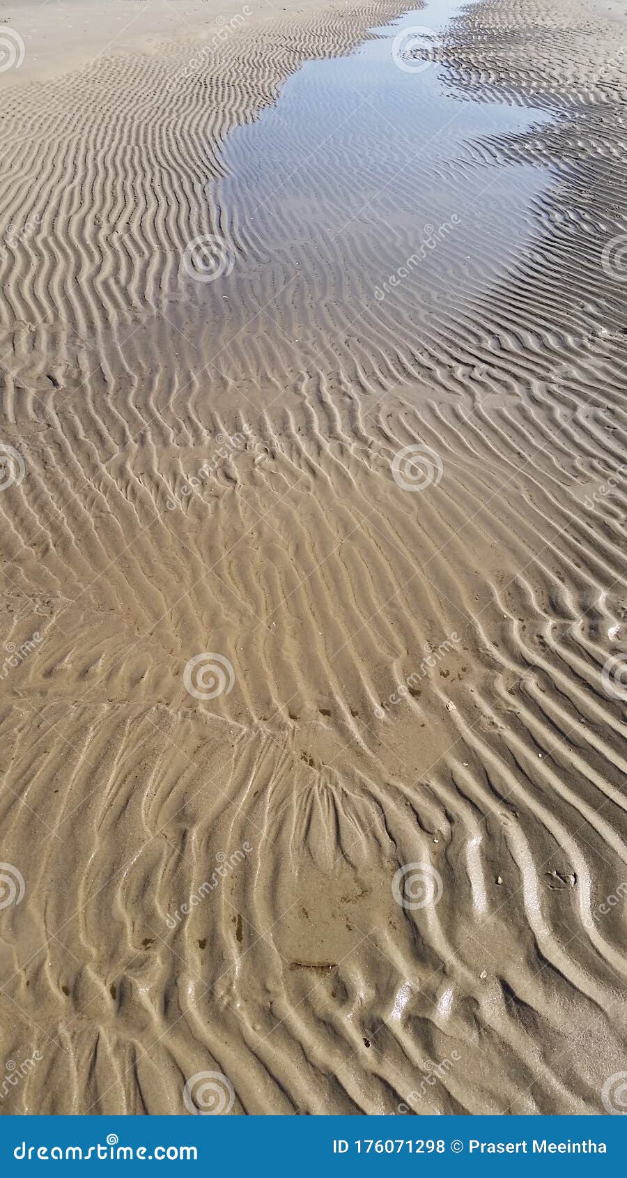 Beaches and Sand Track stock photo. Image of ashore - 176071298