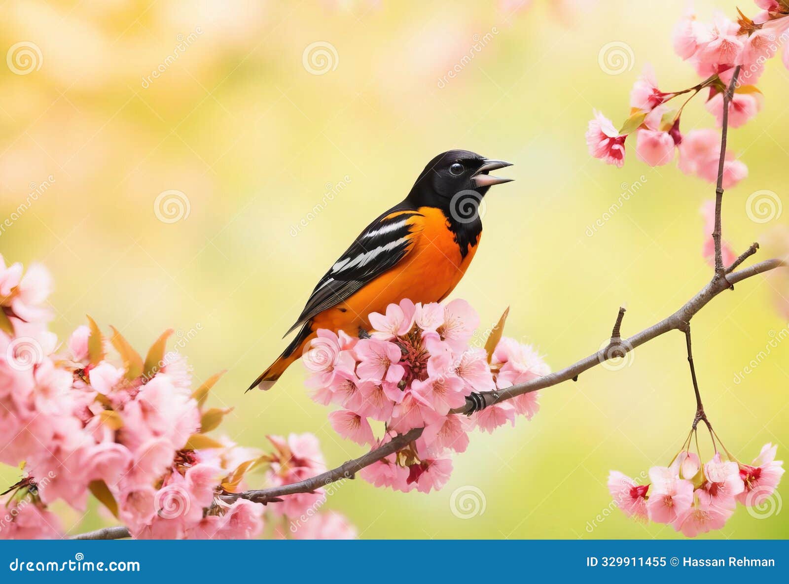 Icterus Cartoons, Illustrations & Vector Stock Images - 92 Pictures to ...