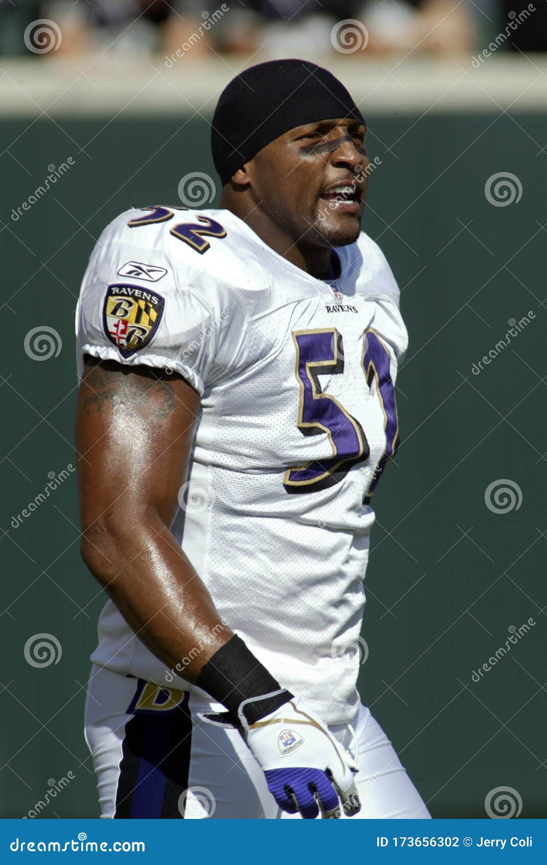 Ray Lewis editorial photography. Image of athlete, uniform - 173656302