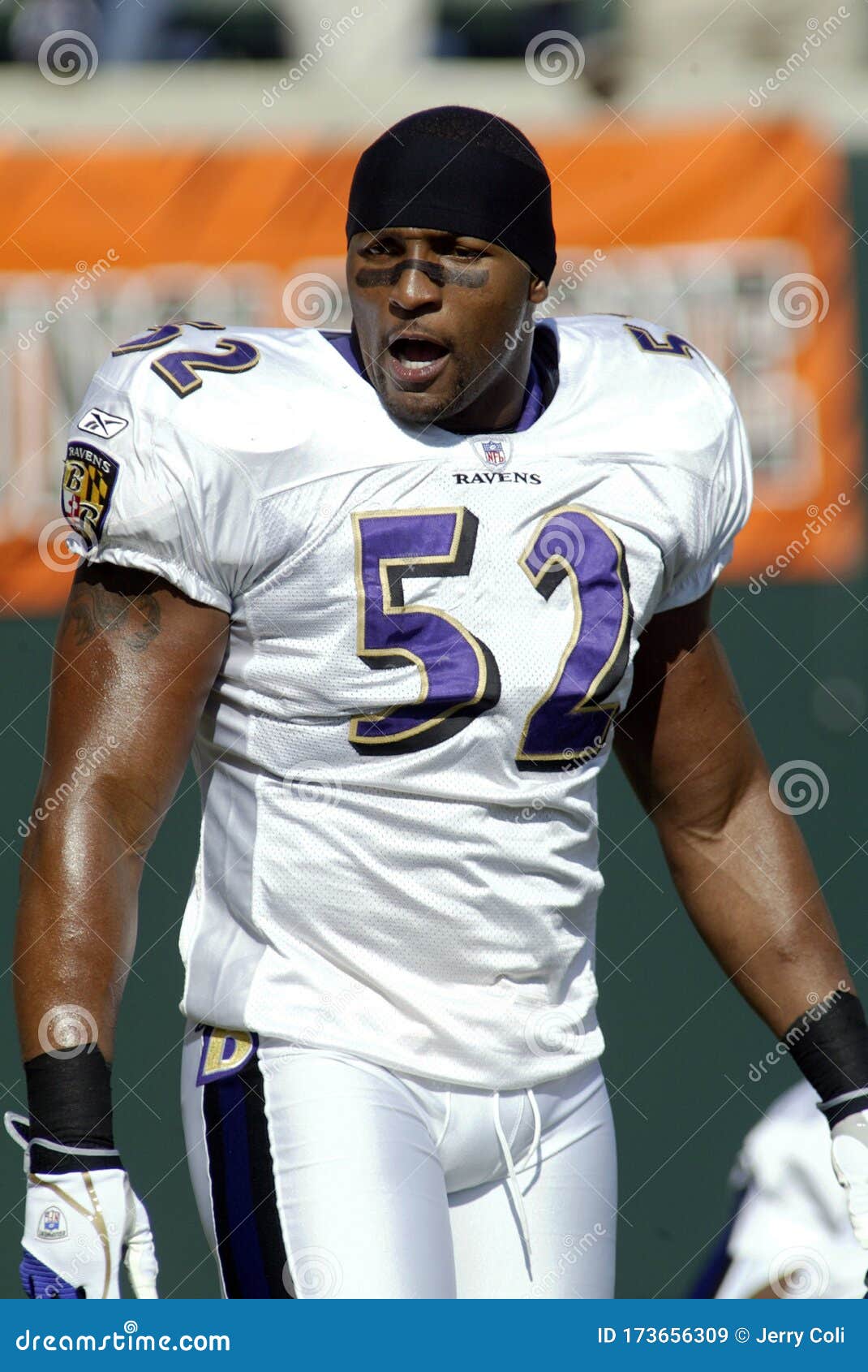 Ray Lewis editorial stock image. Image of league, defense - 173656309