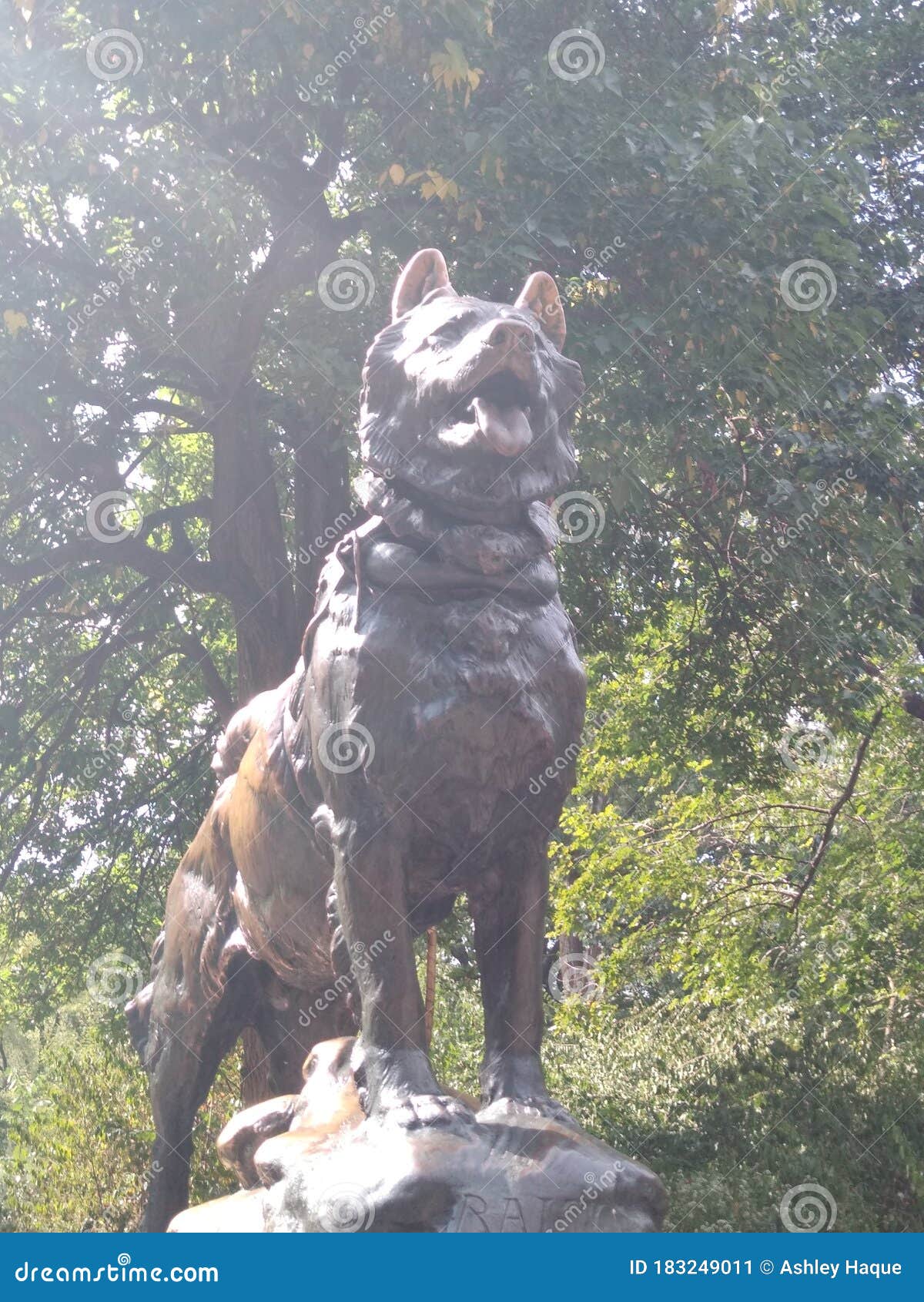 Balto Statue stock image. Image of grass, rock, puppy - 183249011