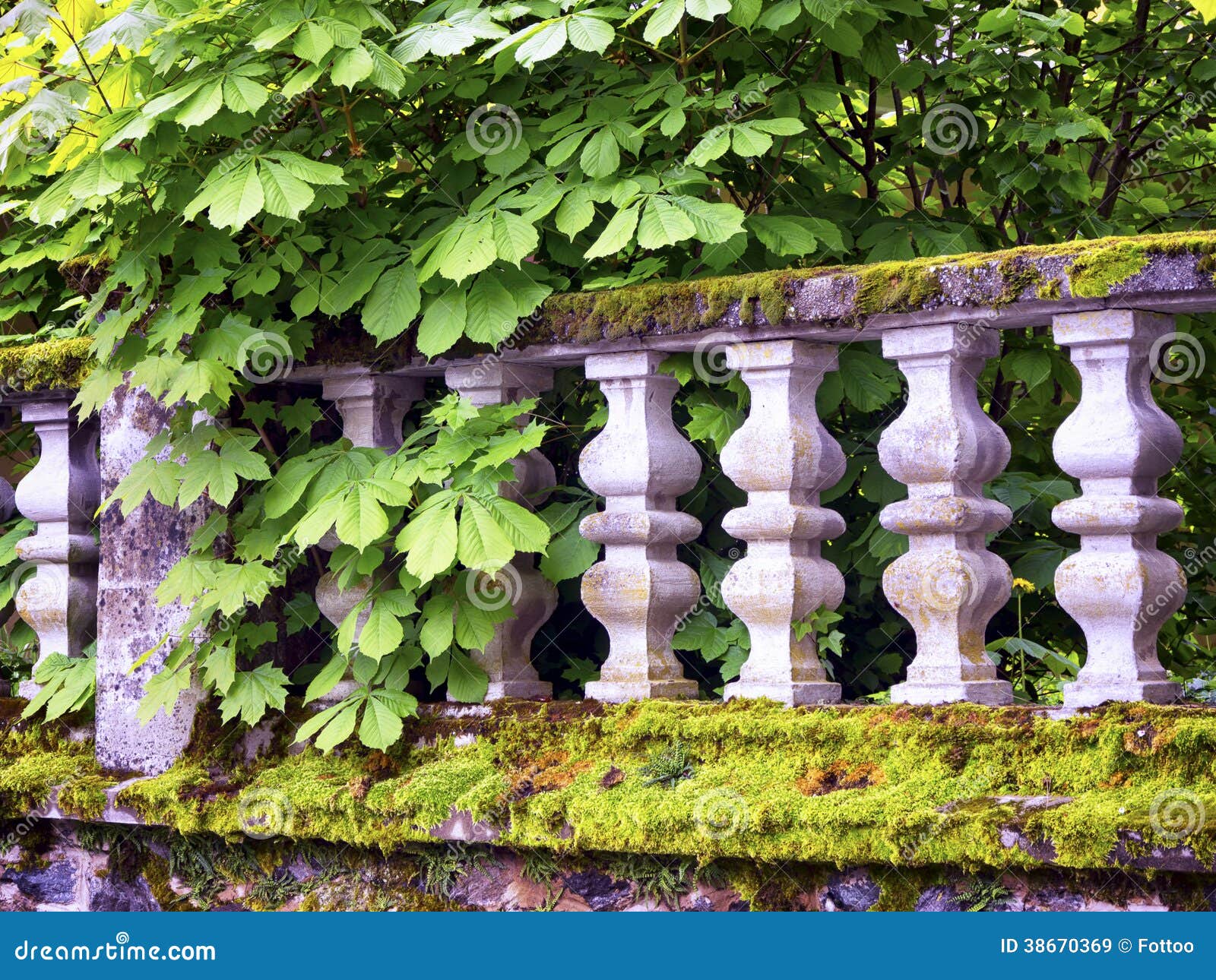 Balustrade stock image. Image of leaf, full, balustrade - 38670369