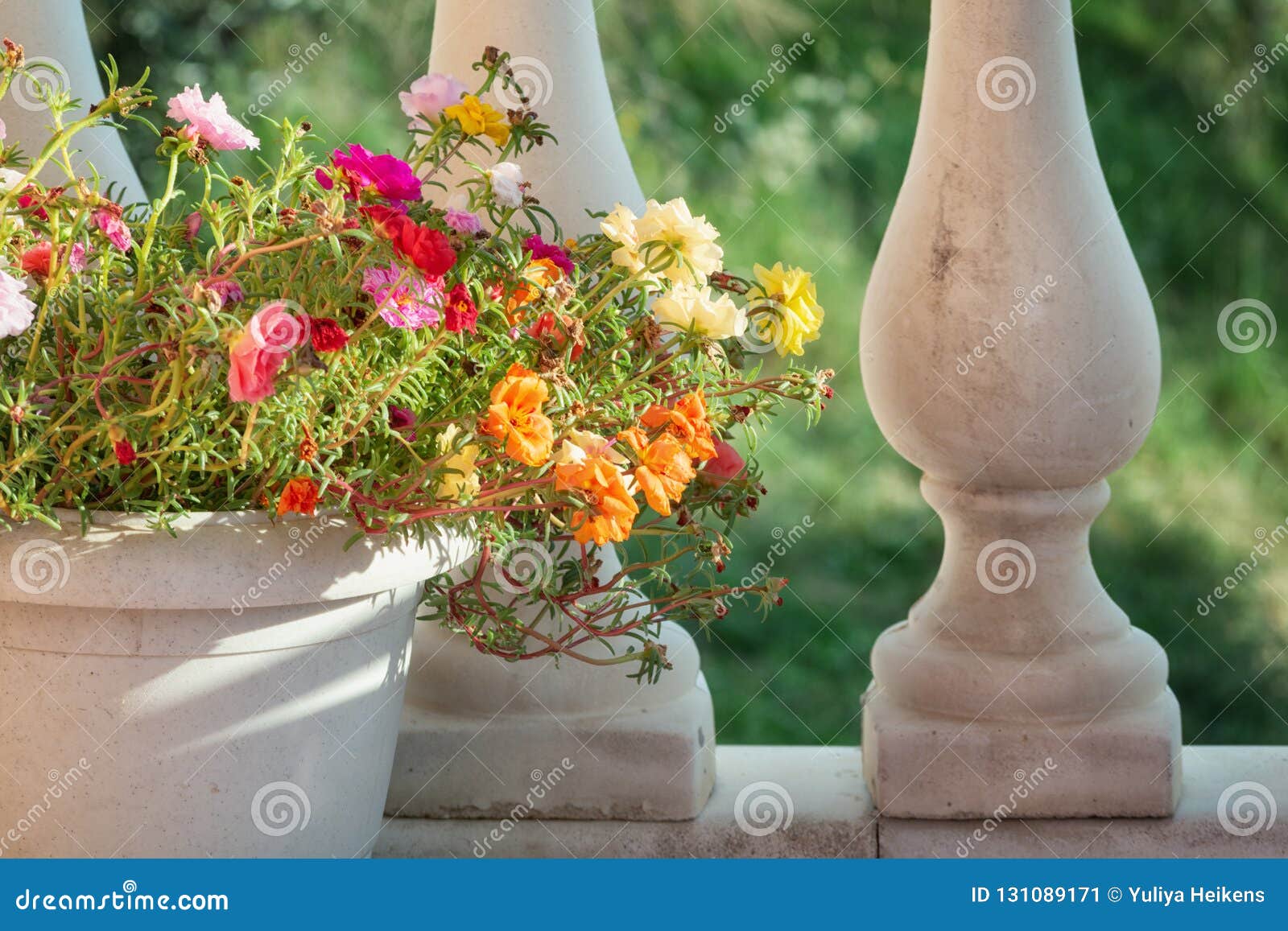 Balustrade Made of Pillars on the Terrace that is Decorated with Stock ...