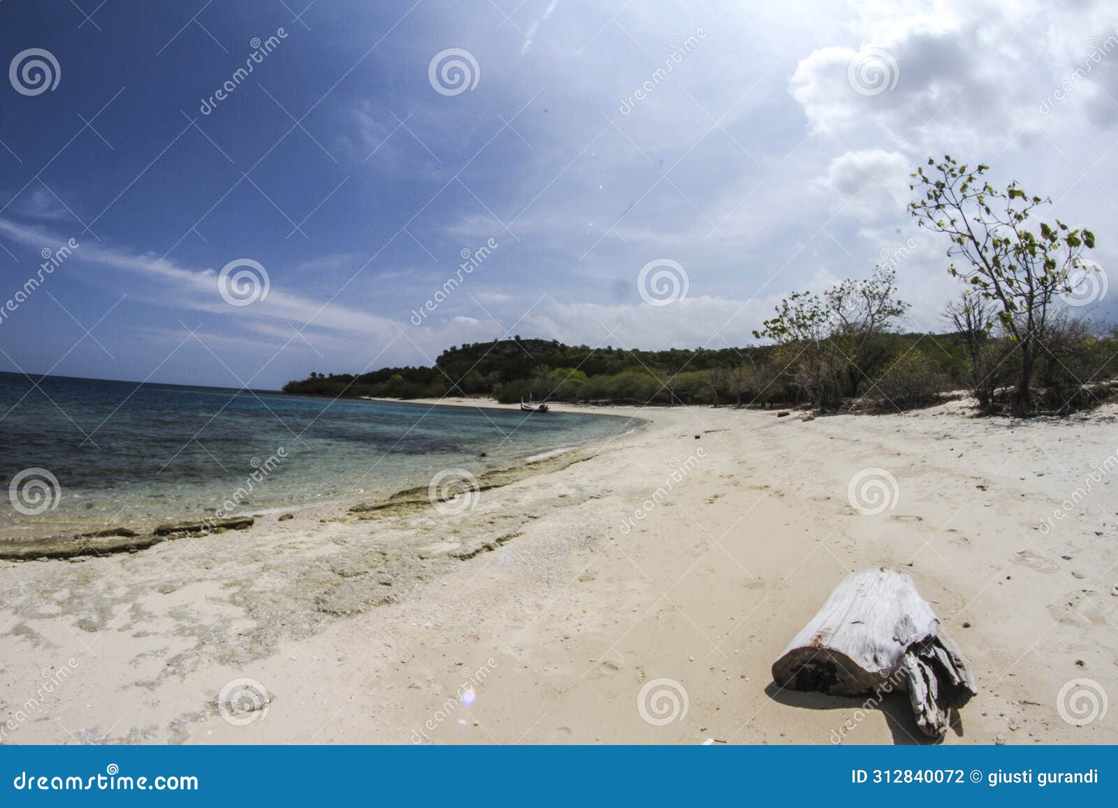 Bama baluran beach stock photo. Image of landscape, nature - 312840072