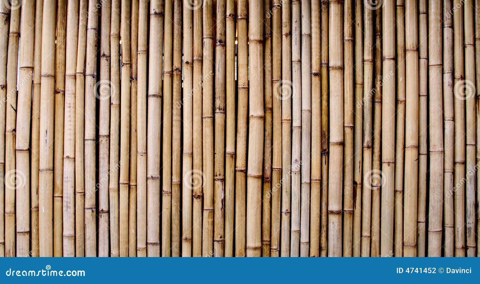 Bambú foto de archivo. Imagen de asoleado, extracto, madera - 4741452