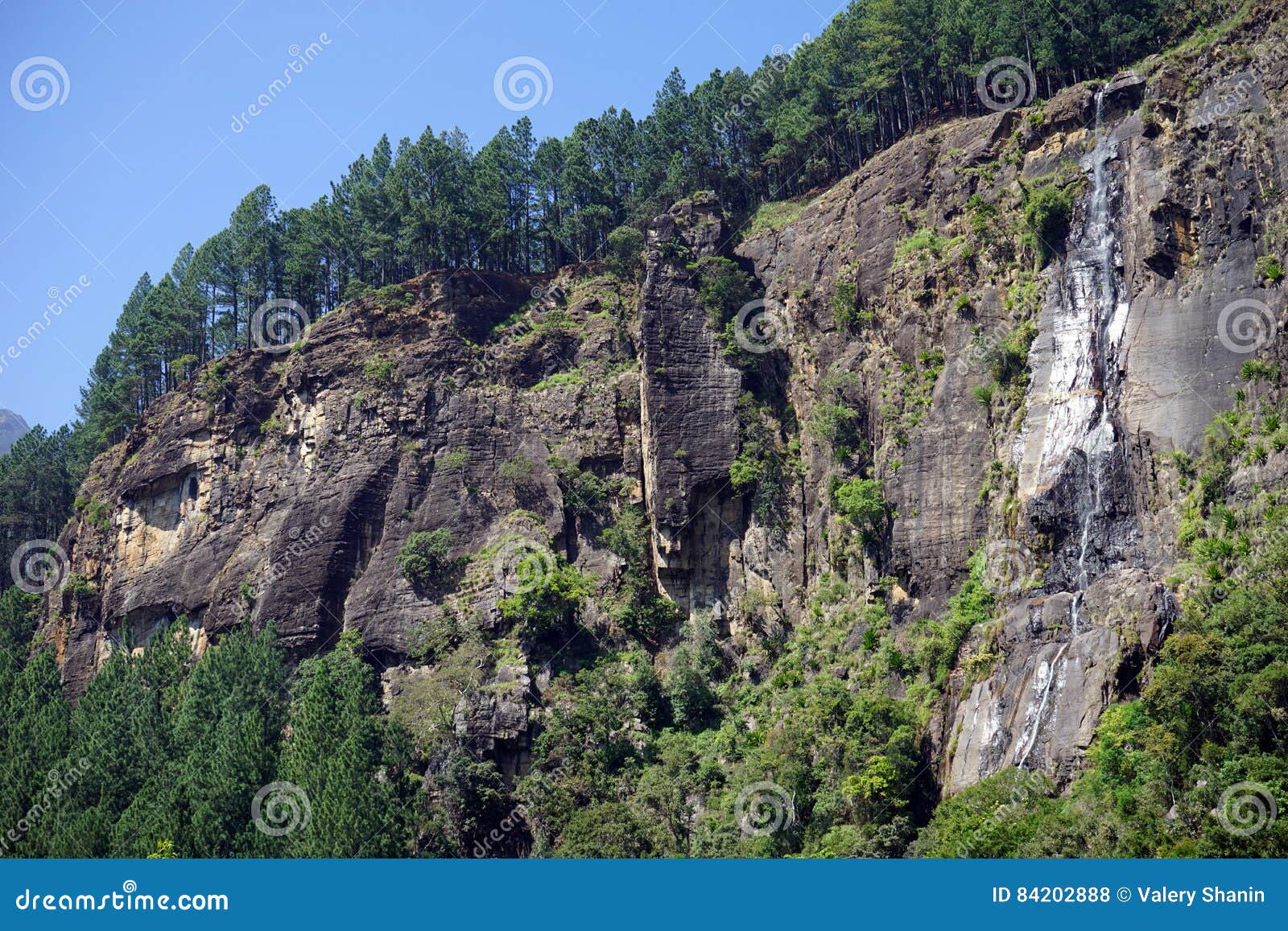 Bambara Kanda waterfall stock photo. Image of water, tree - 84202888