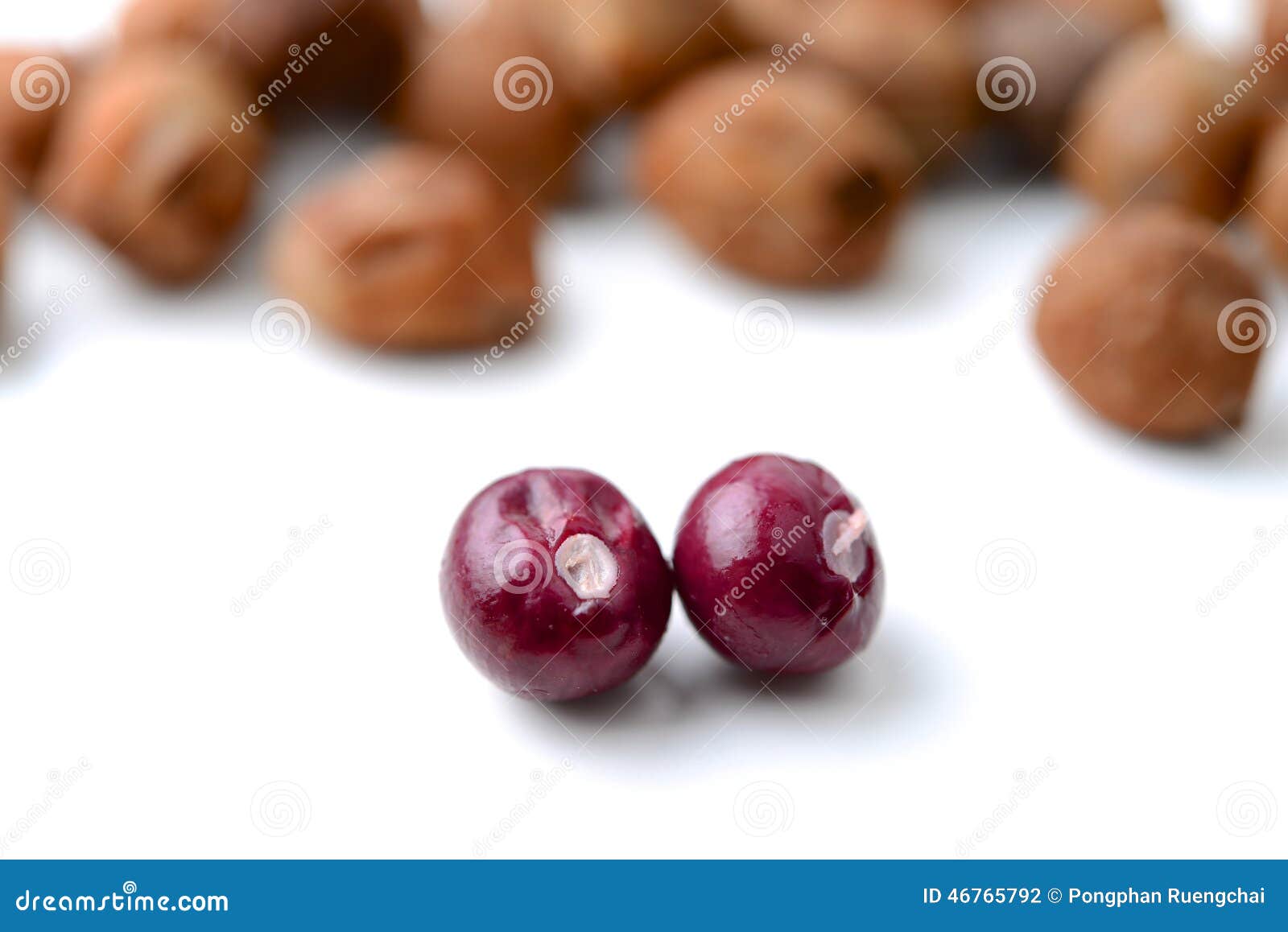 Bambarra Groundnut, Originated In West Africa, Its Pods Ripens ...