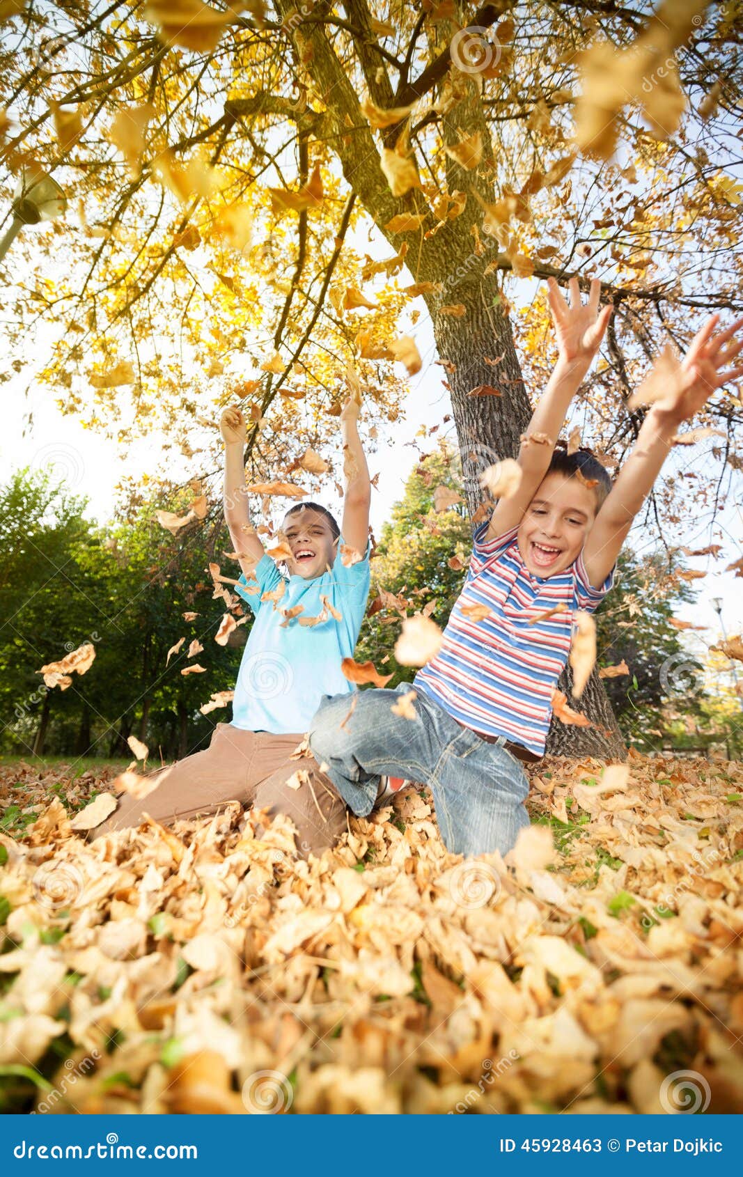 Bambini Che Gettano Le Foglie in Parco Immagine Stock - Immagine di ...
