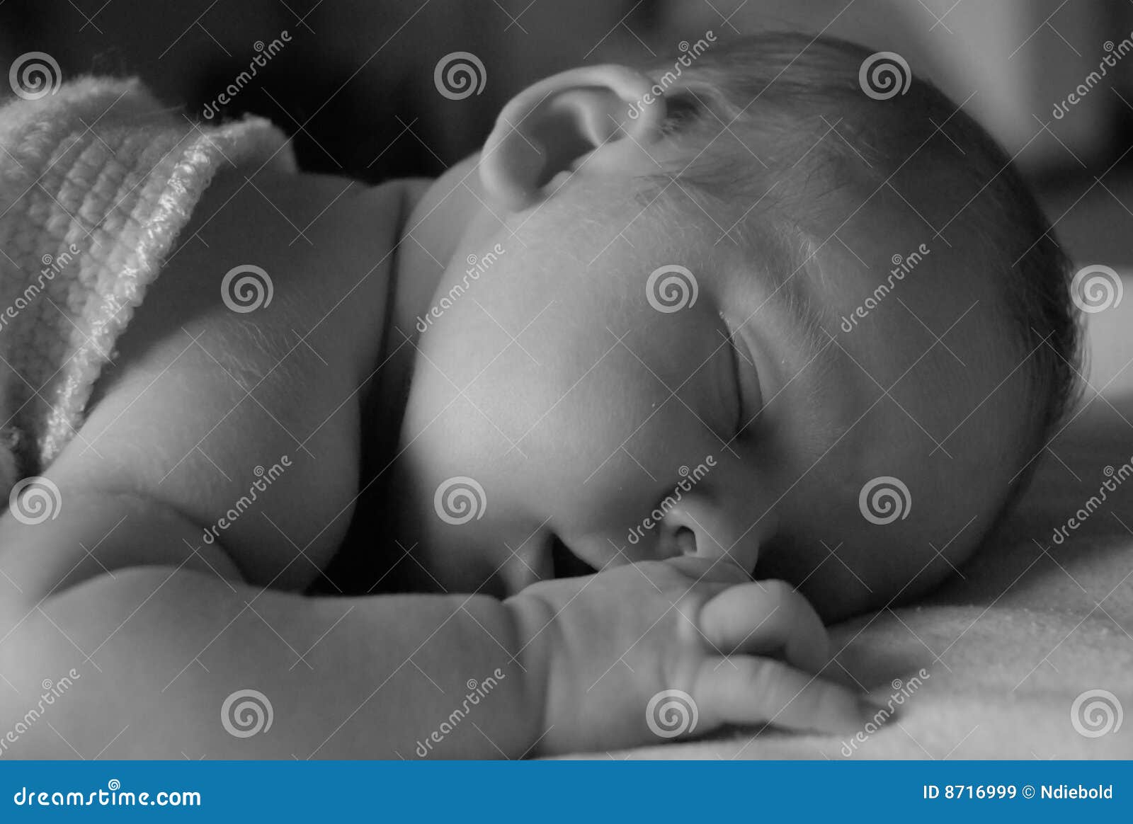 Bambino addormentato immagine stock. Immagine di sonno - 8716999