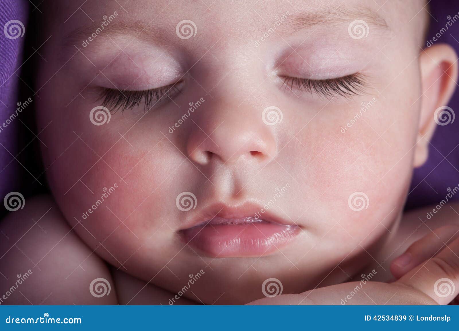 Bambino addormentato calmo immagine stock. Immagine di sereno - 42534839