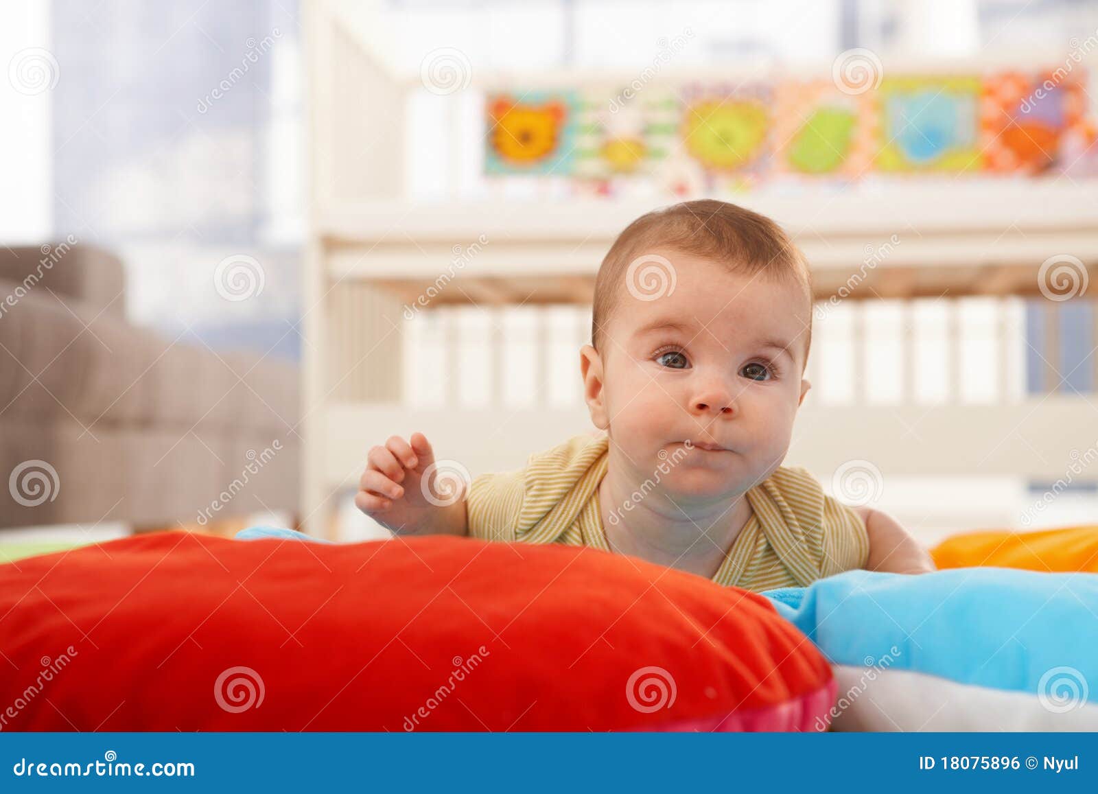 Bambino Che Si Concentra Sullo Strisciare Fotografia Stock - Immagine ...