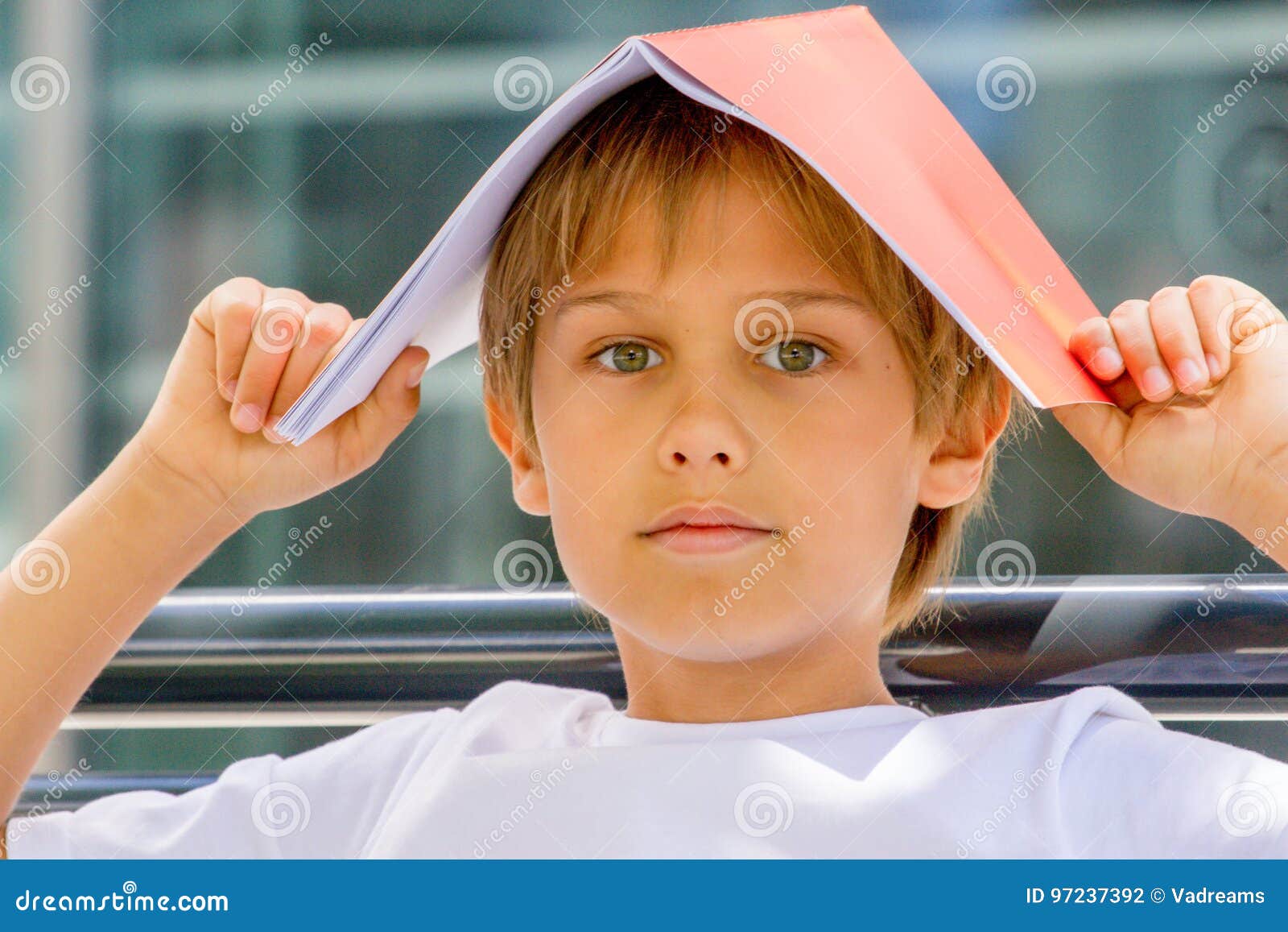 Bambino Con Il Libro Sulla Sua Testa Fotografia Stock - Immagine di ...