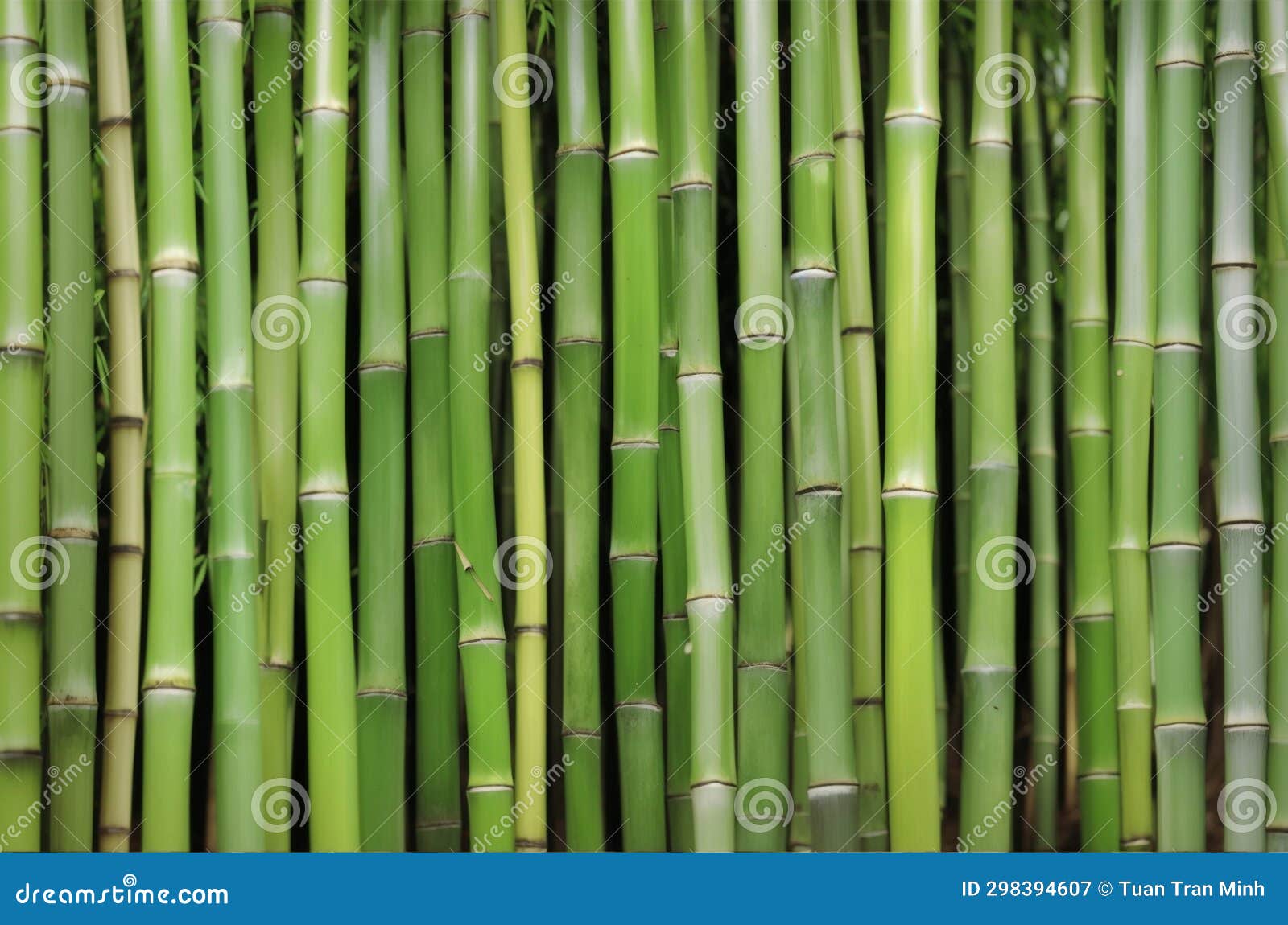 Bambo Cartoons, Illustrations & Vector Stock Images - 163 Pictures to ...