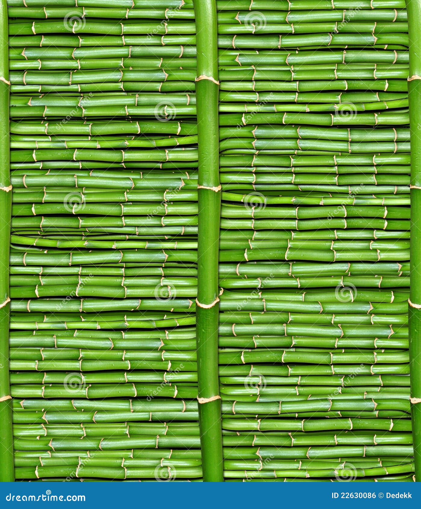 Bamboe - behang stock foto. Image of samenvatting, installatie - 22630086