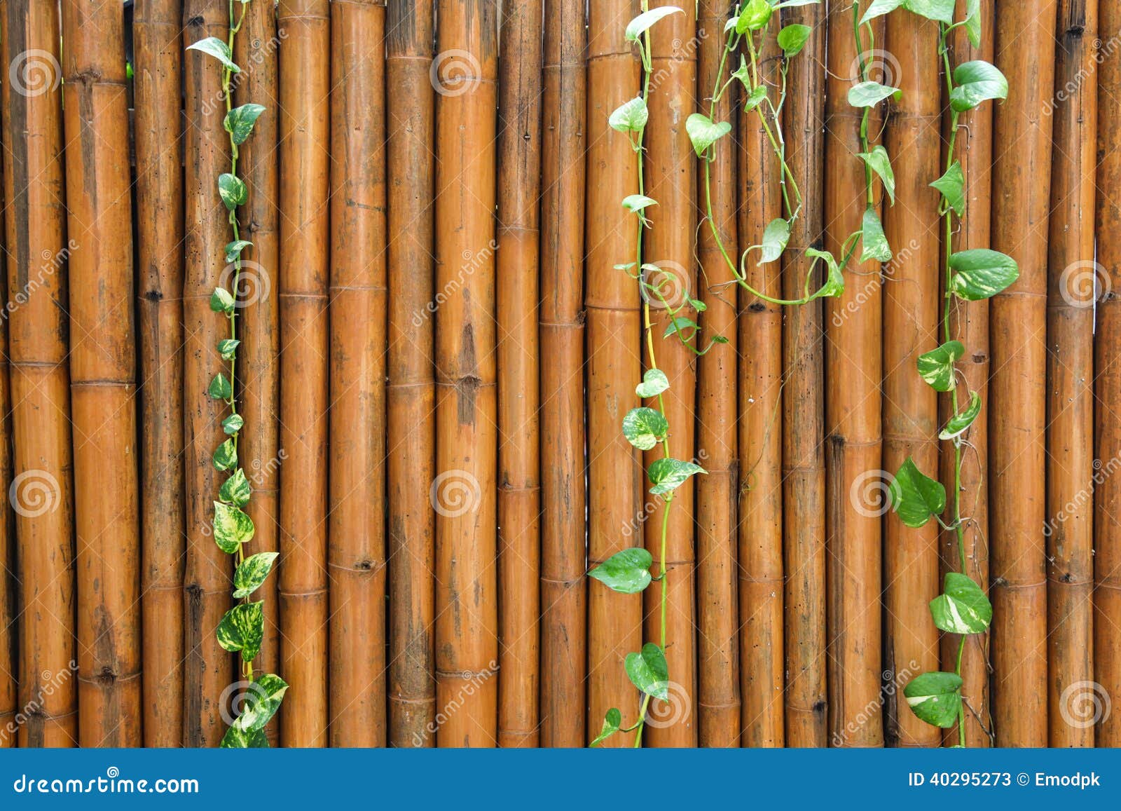 Bamboe houten muur stock afbeelding. Image of huis, bruin - 40295273