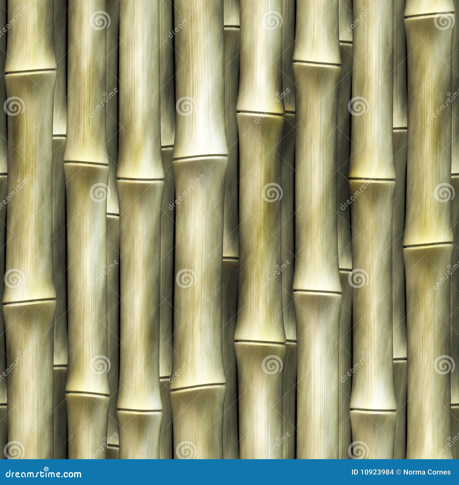 Bamboo stock illustration. Illustration of pattern, drawing - 10923984