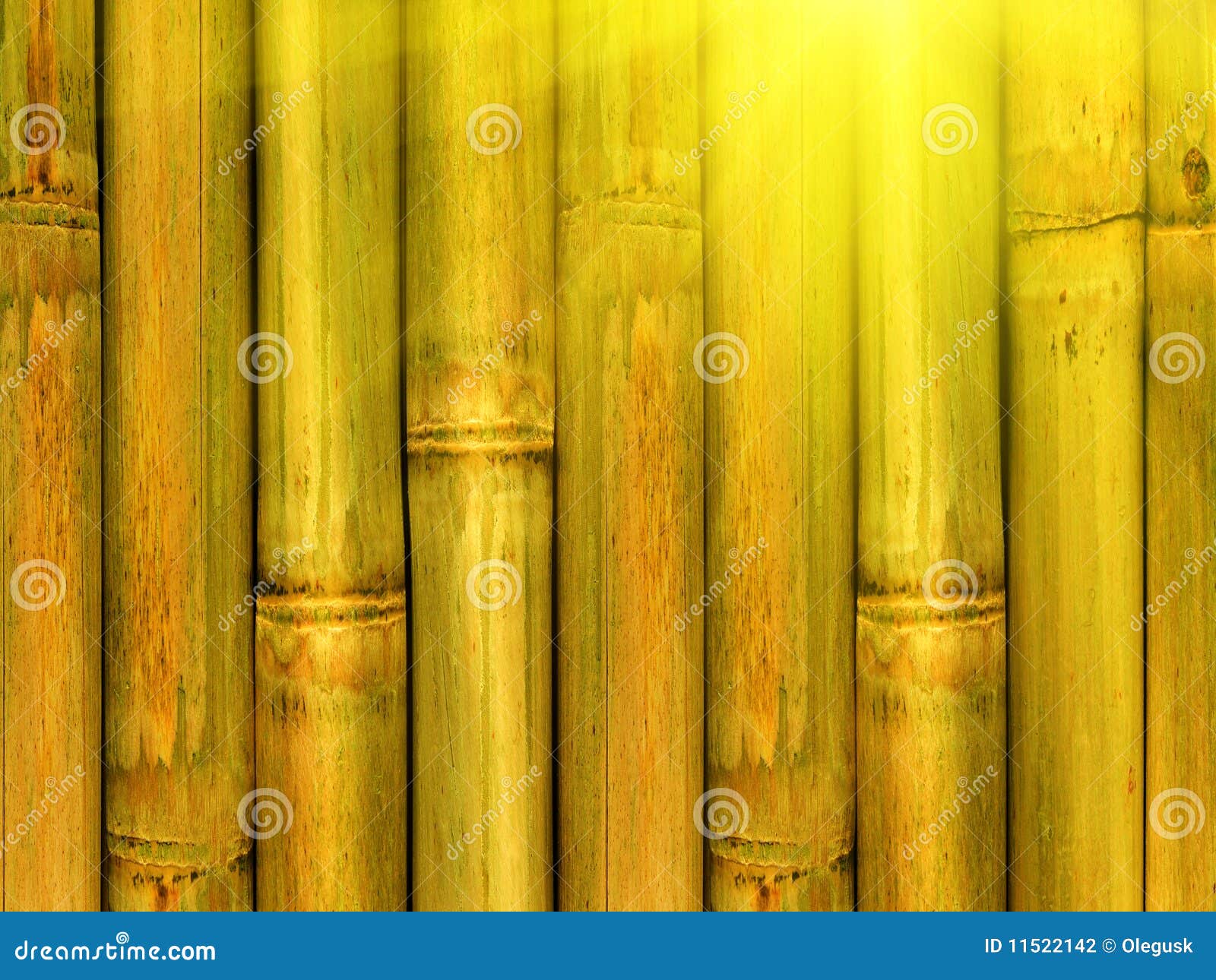 Bamboo stock photo. Image of bamboo, trunk, textures - 11522142