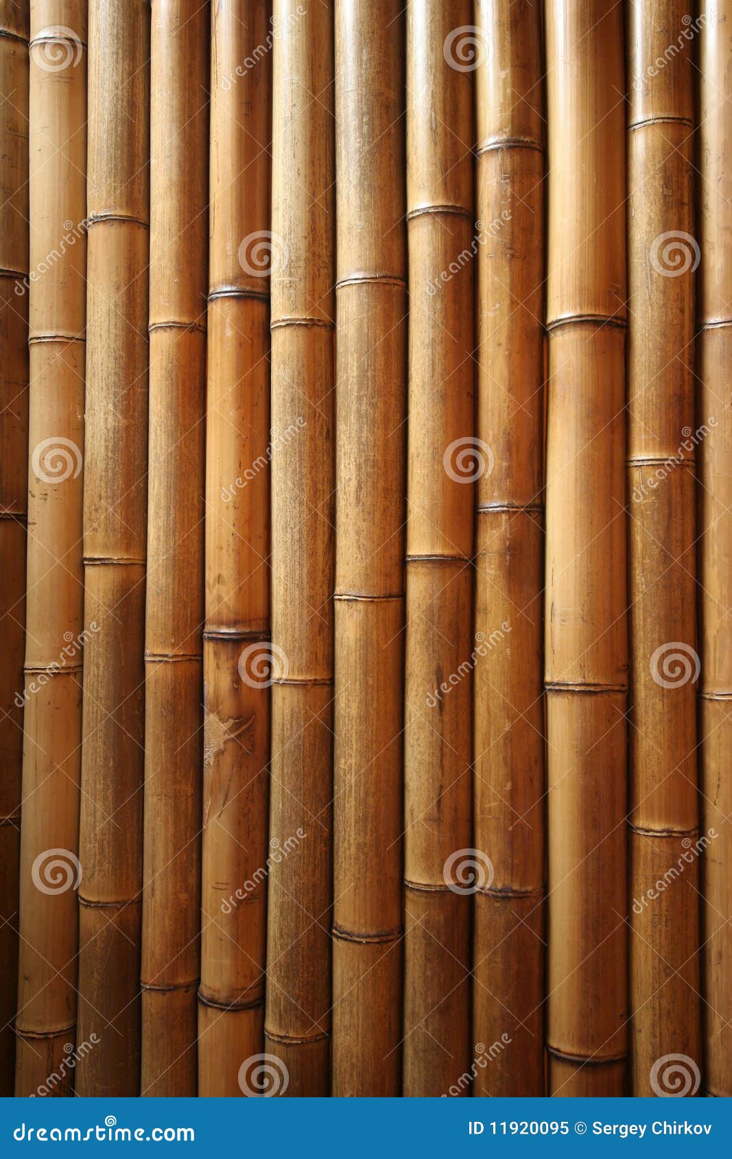 Bamboo stock image. Image of full, color, stained, material - 11920095