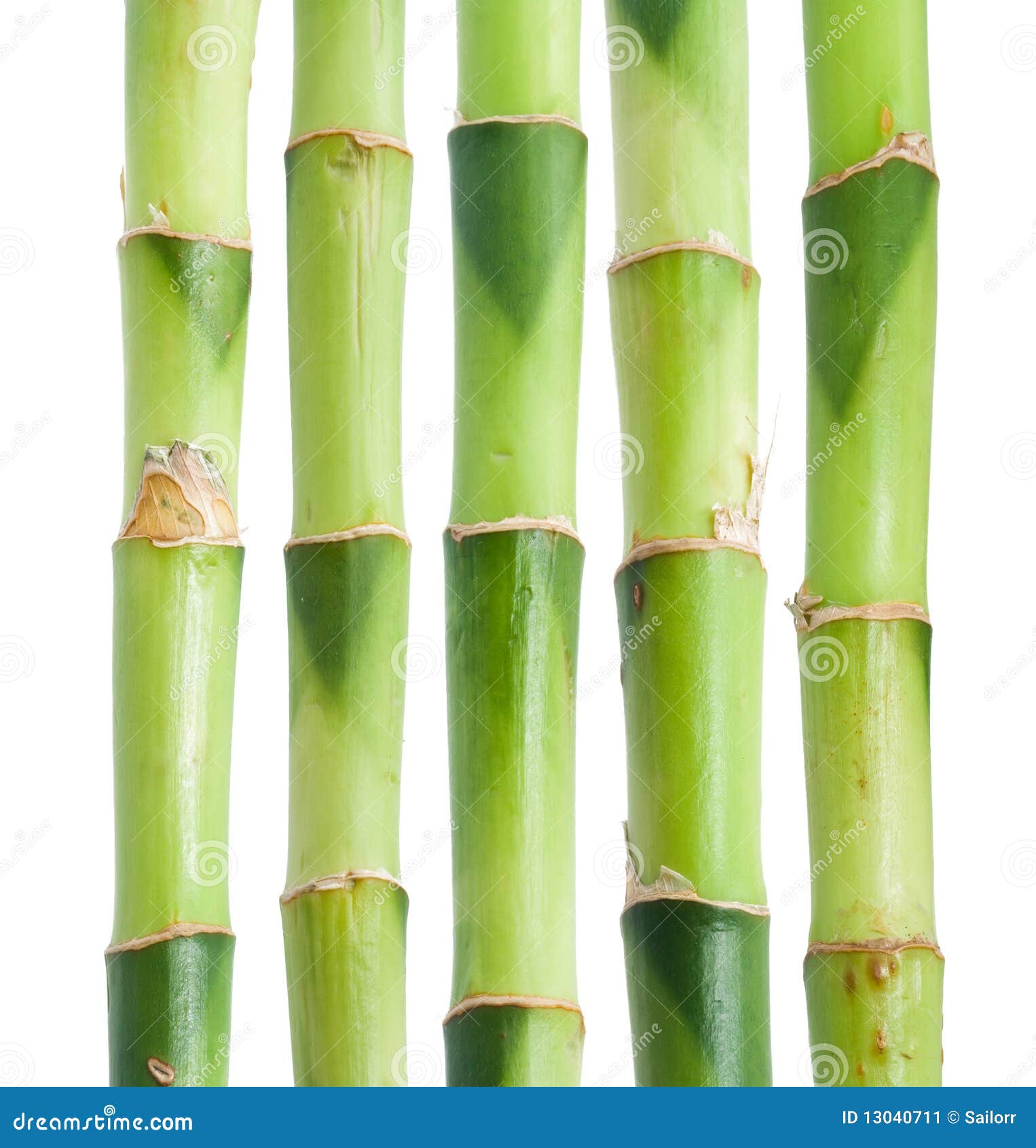 Bamboo stock image. Image of decoration, garden, japan - 13040711